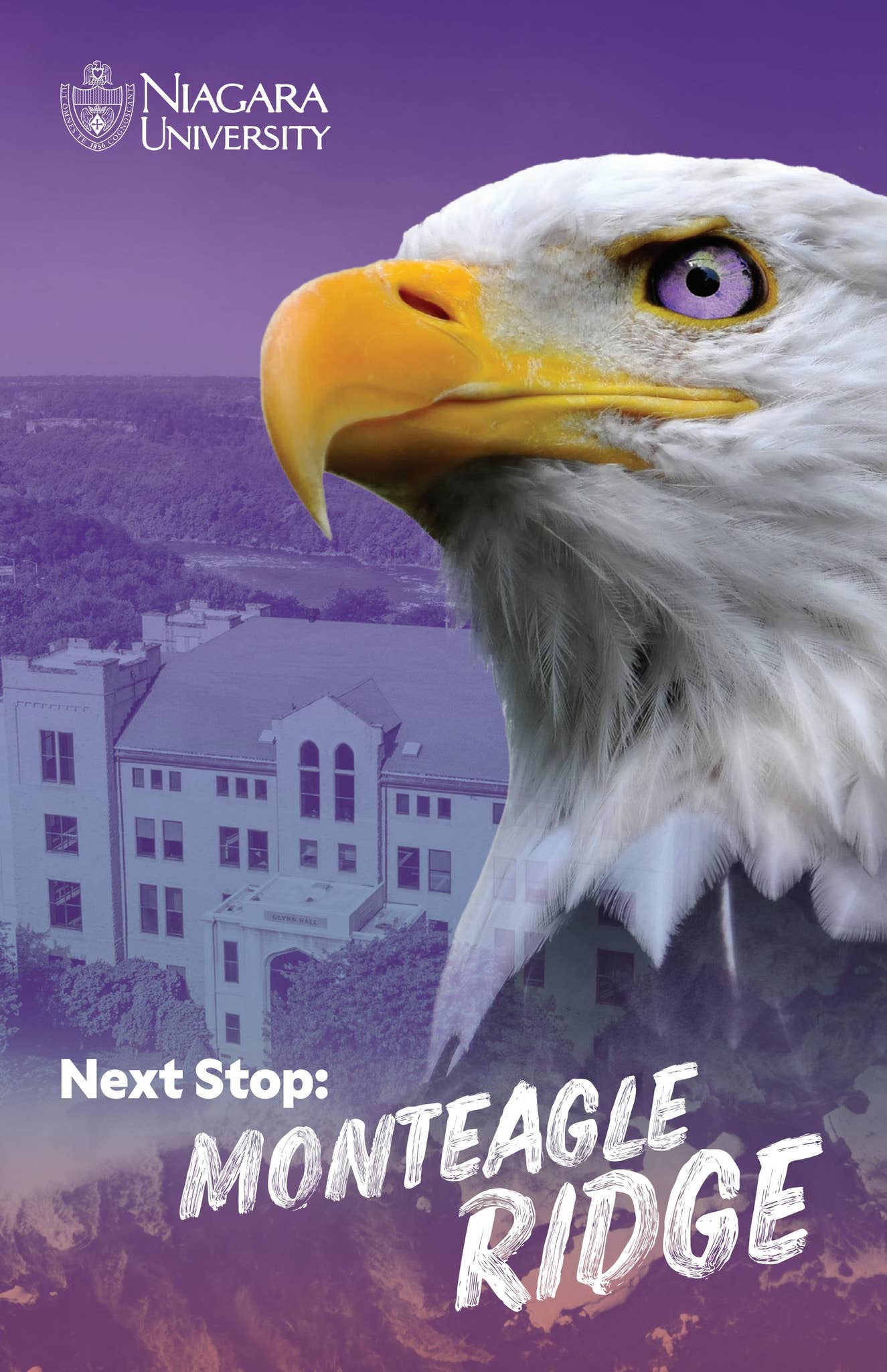 Transfer Brochure by Niagara University - Issuu