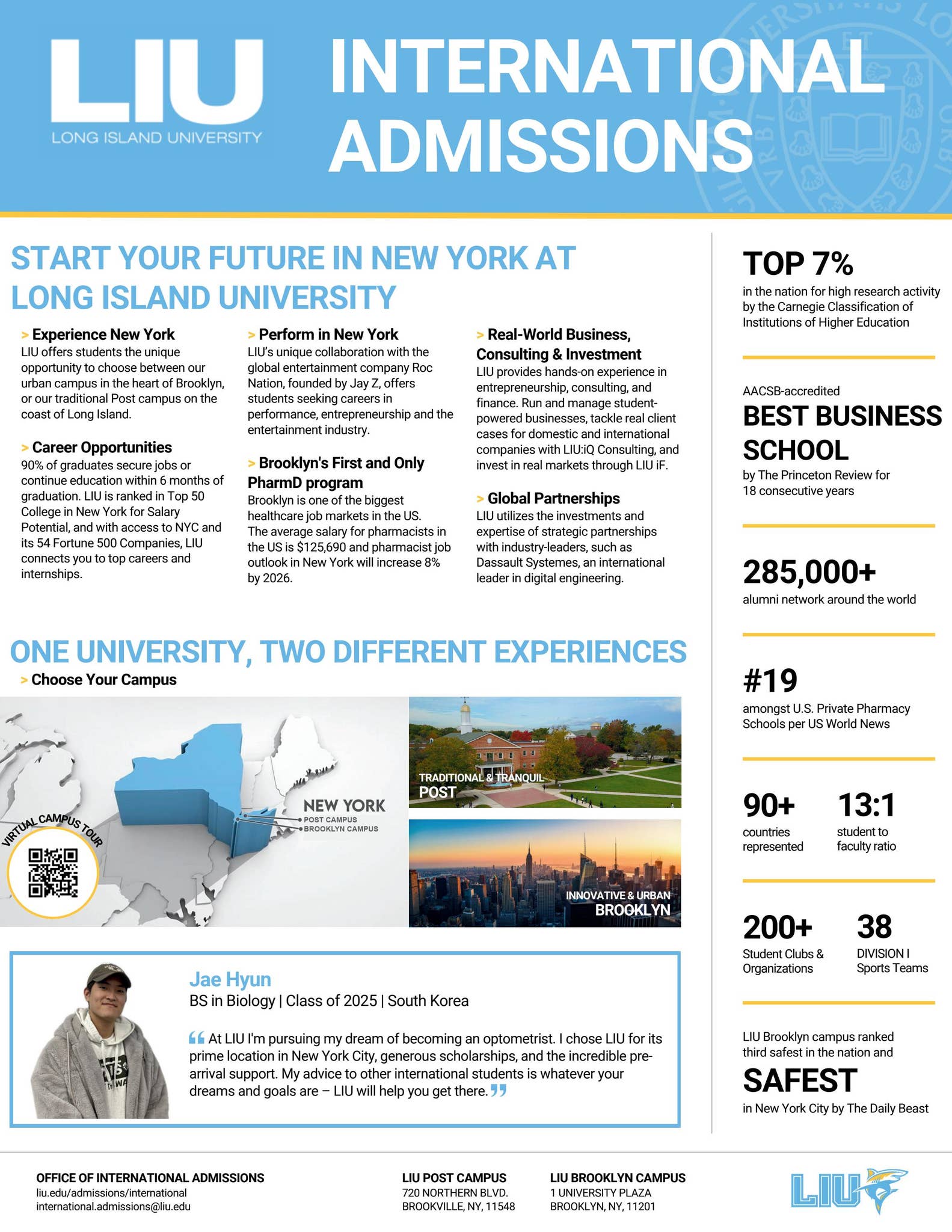 LIU International Admissions Undergraduate Brochure by ...
