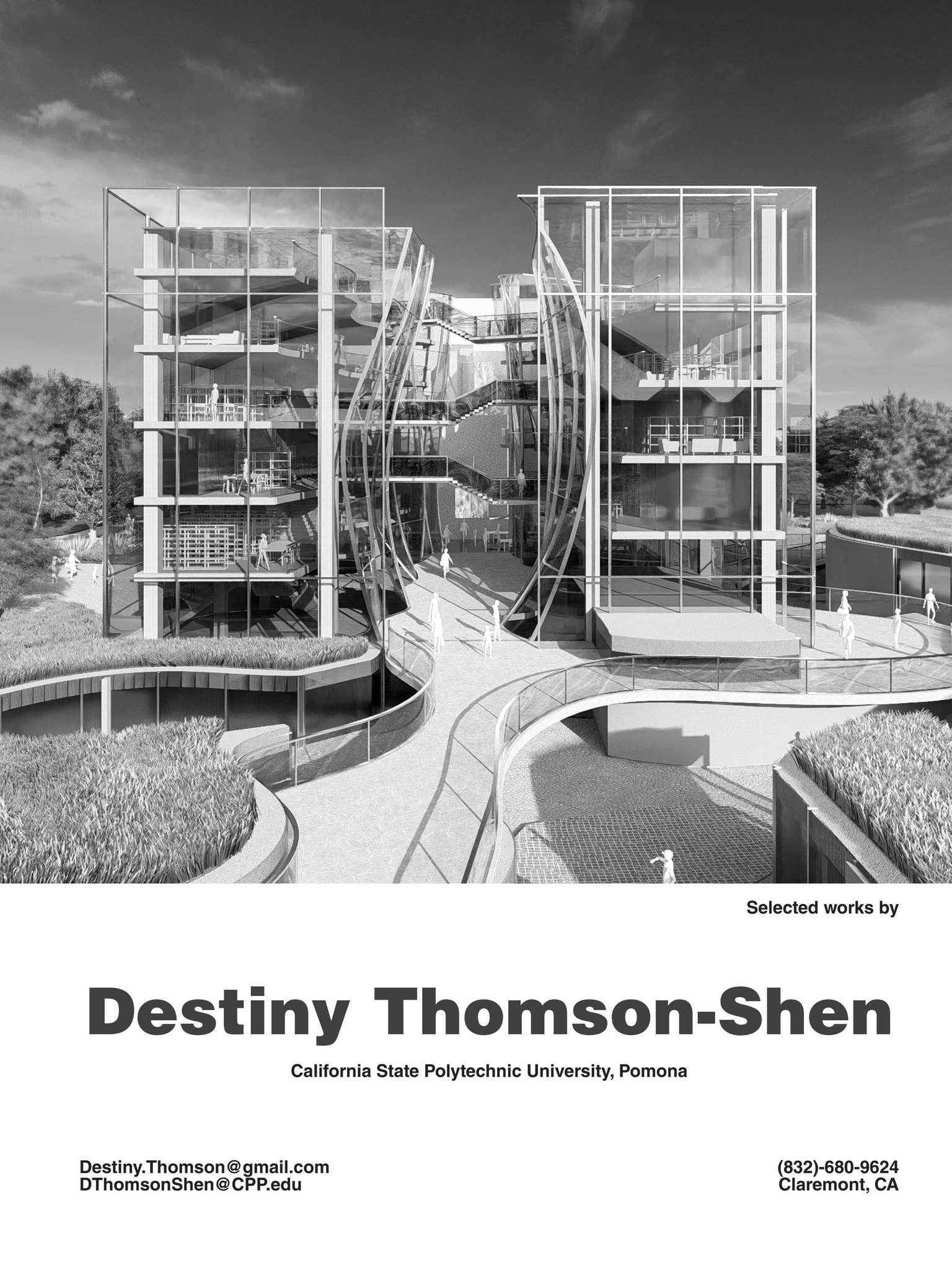 Destiny Thomson-Shen Portfolio by DTShen - Issuu