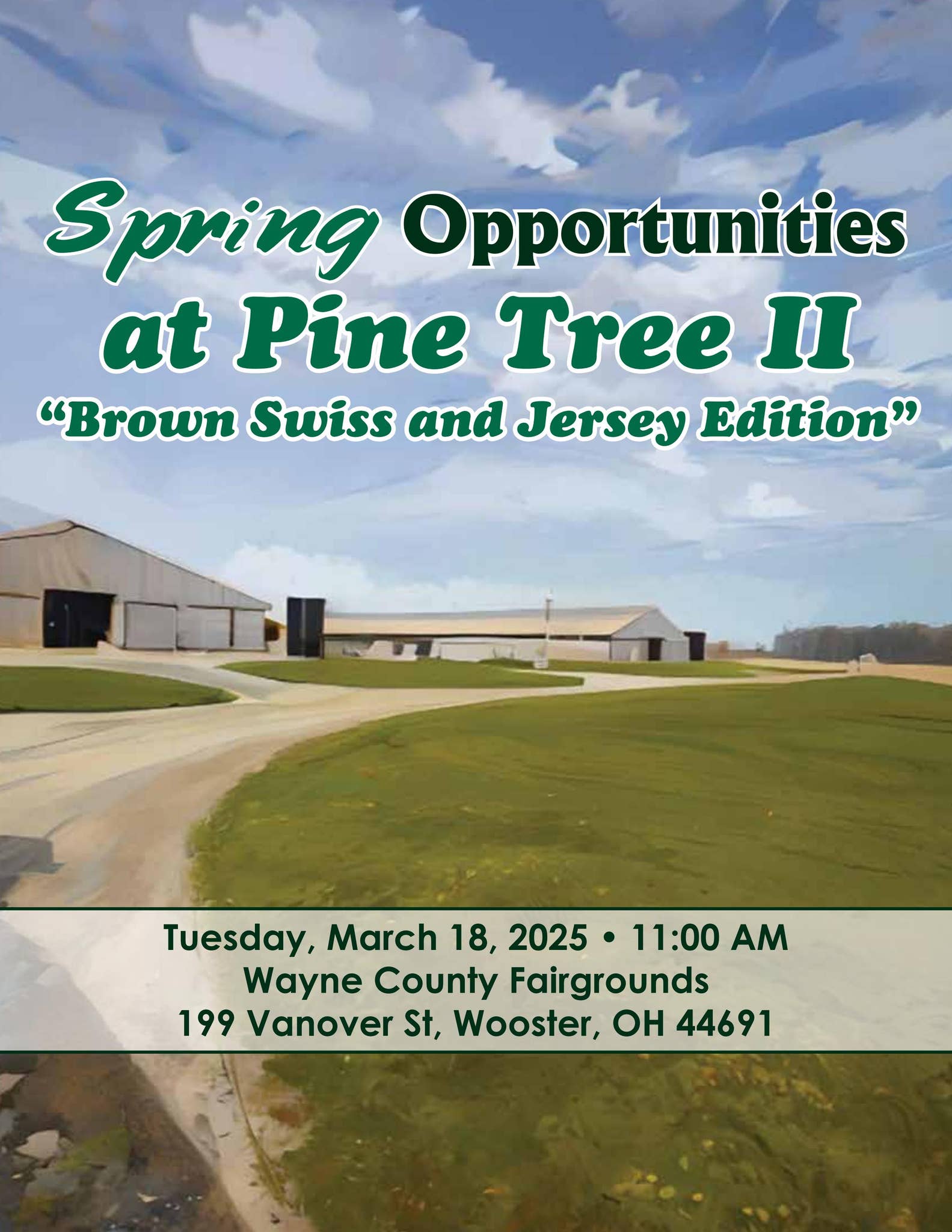 Spring Opportunities at Pine-Tree II by Daniel Brandt - Issuu