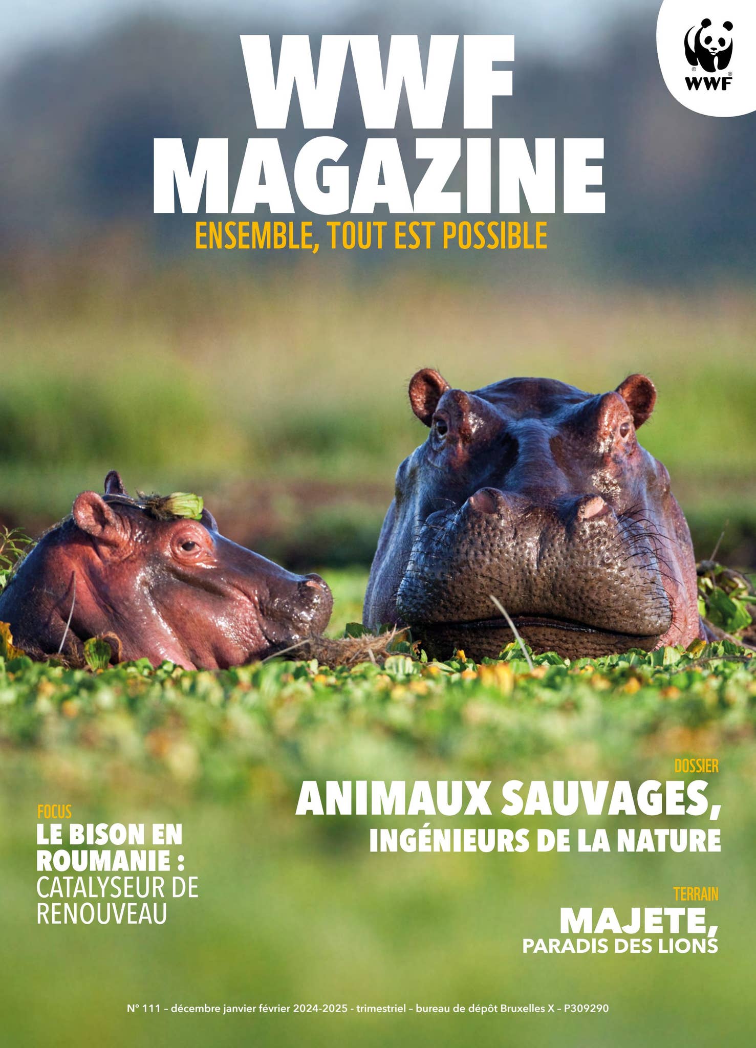 WWF Magazine 111 FR by WWF-Belgium - Issuu