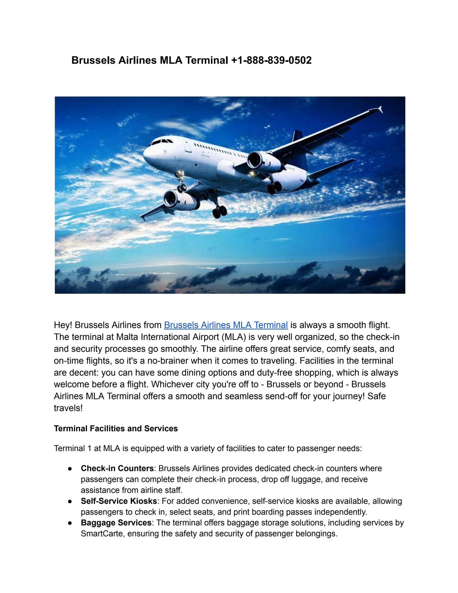 Brussels Airlines MLA Terminal by Elena Jonas - Issuu