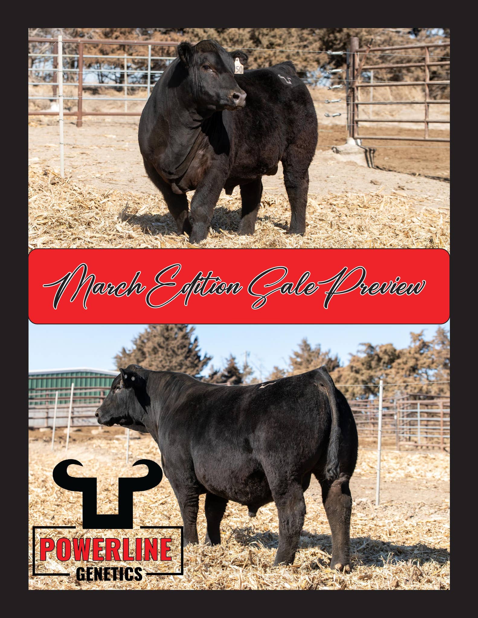 Powerline Genetics 2025 ME Sale Preview by Bobbi Hartwig - Issuu