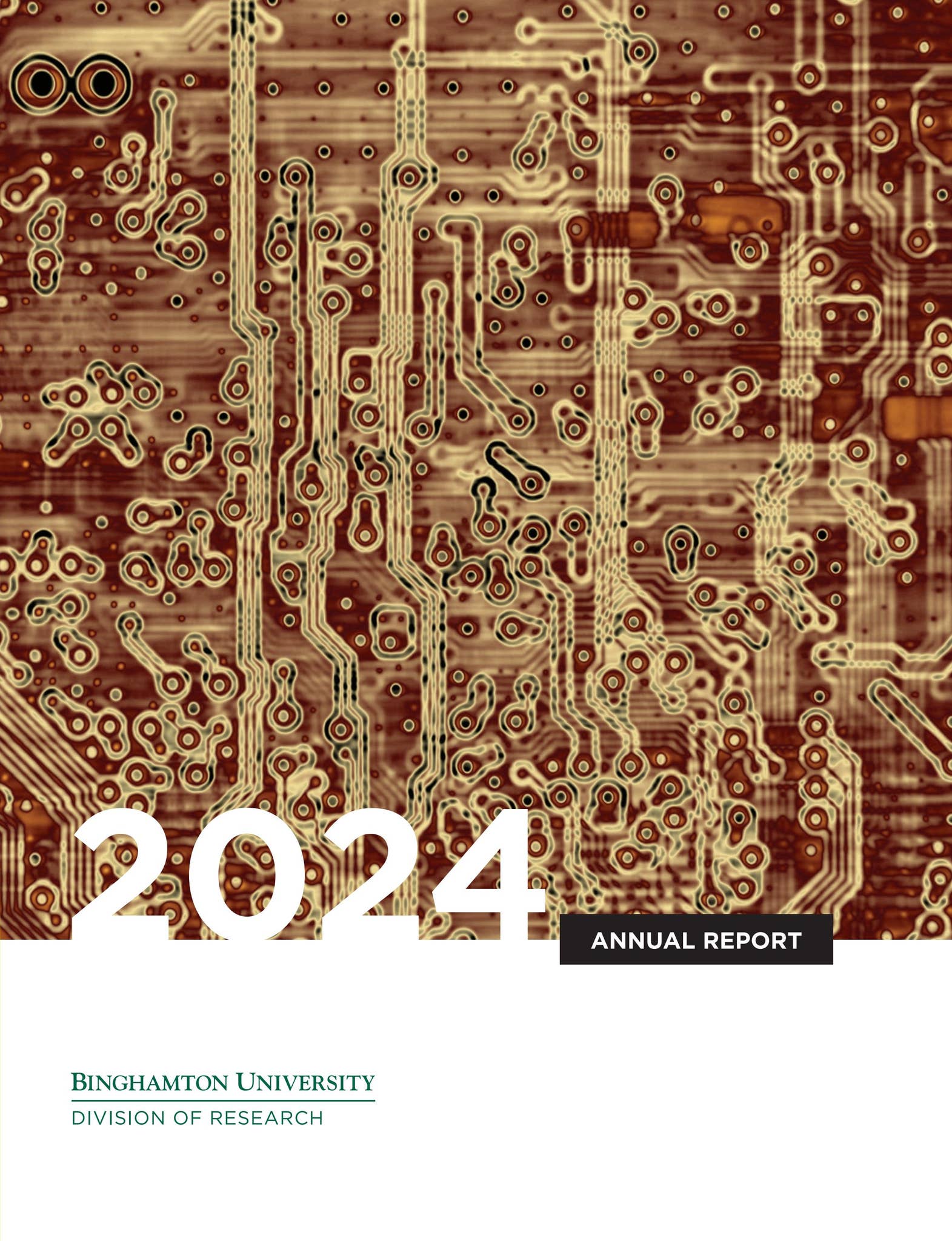 2024 Binghamton Research Annual Report by Division of Research @ Binghamton University - Issuu
