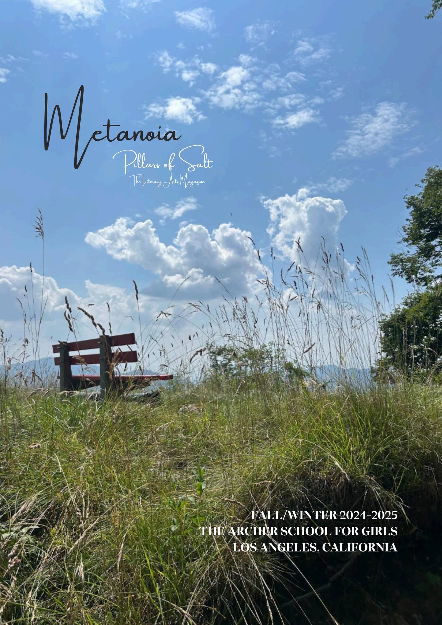 Metanoia: Pillars of Salt Winter 2024-2025 by The Archer School for ...