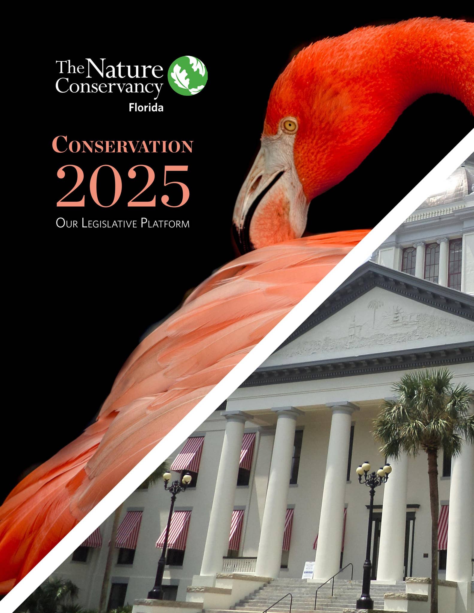 Conservation 2025: TNC in Florida's Legislative Platform by TNC in ...