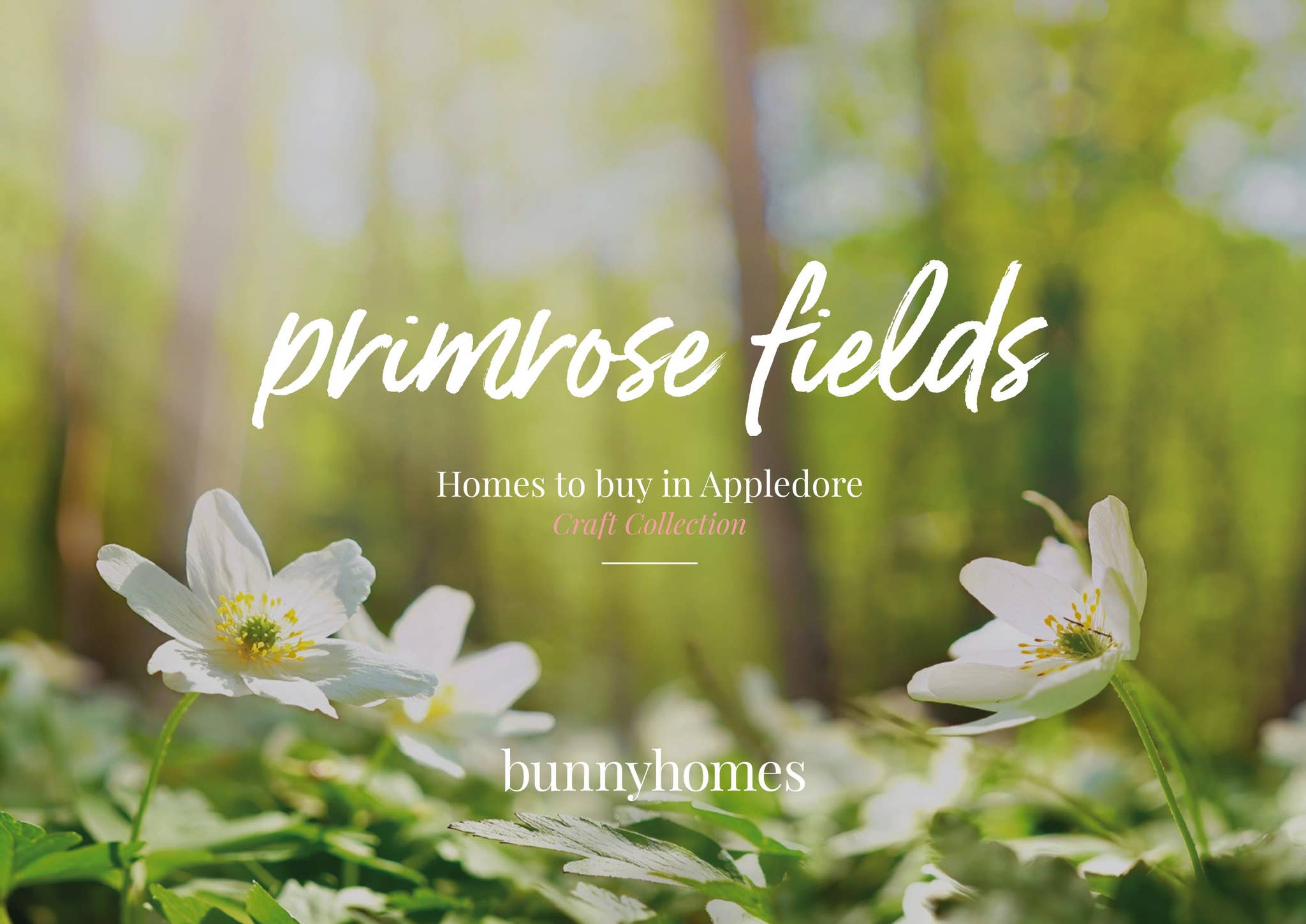 Primrose Fields (Appledore) brochure by bunnyhomes brochures - Issuu