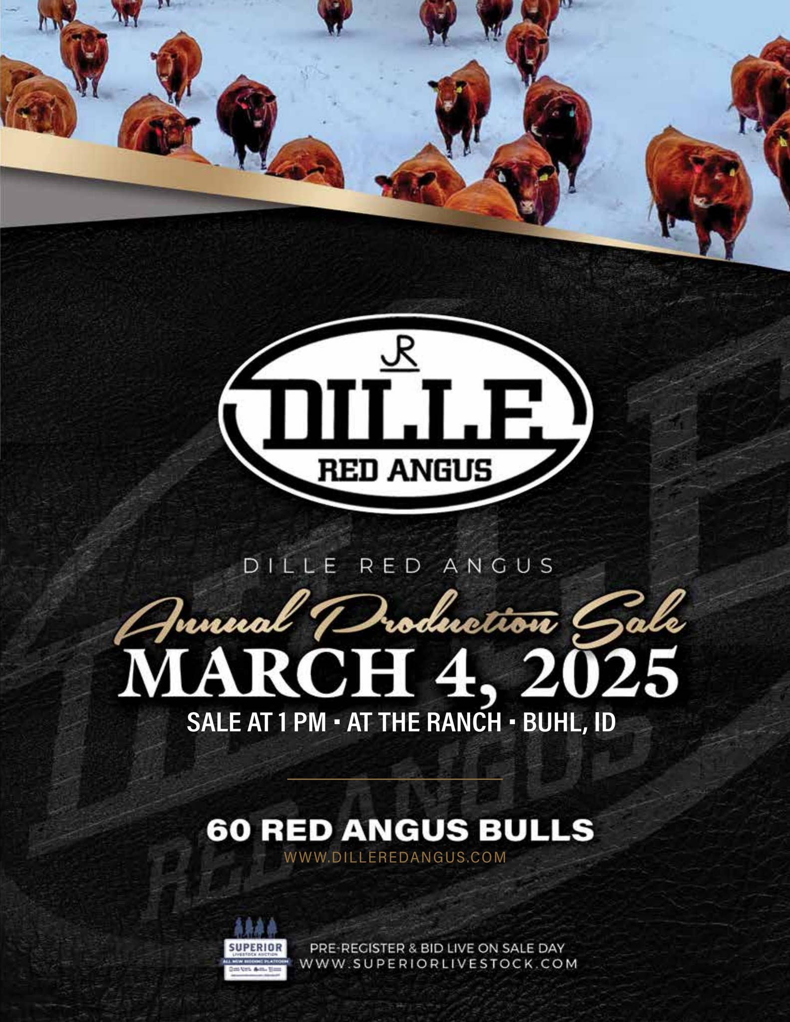 2025 Dille Red Angus Annual Production Sale • March 4, 2025 • Buhl, ID ...