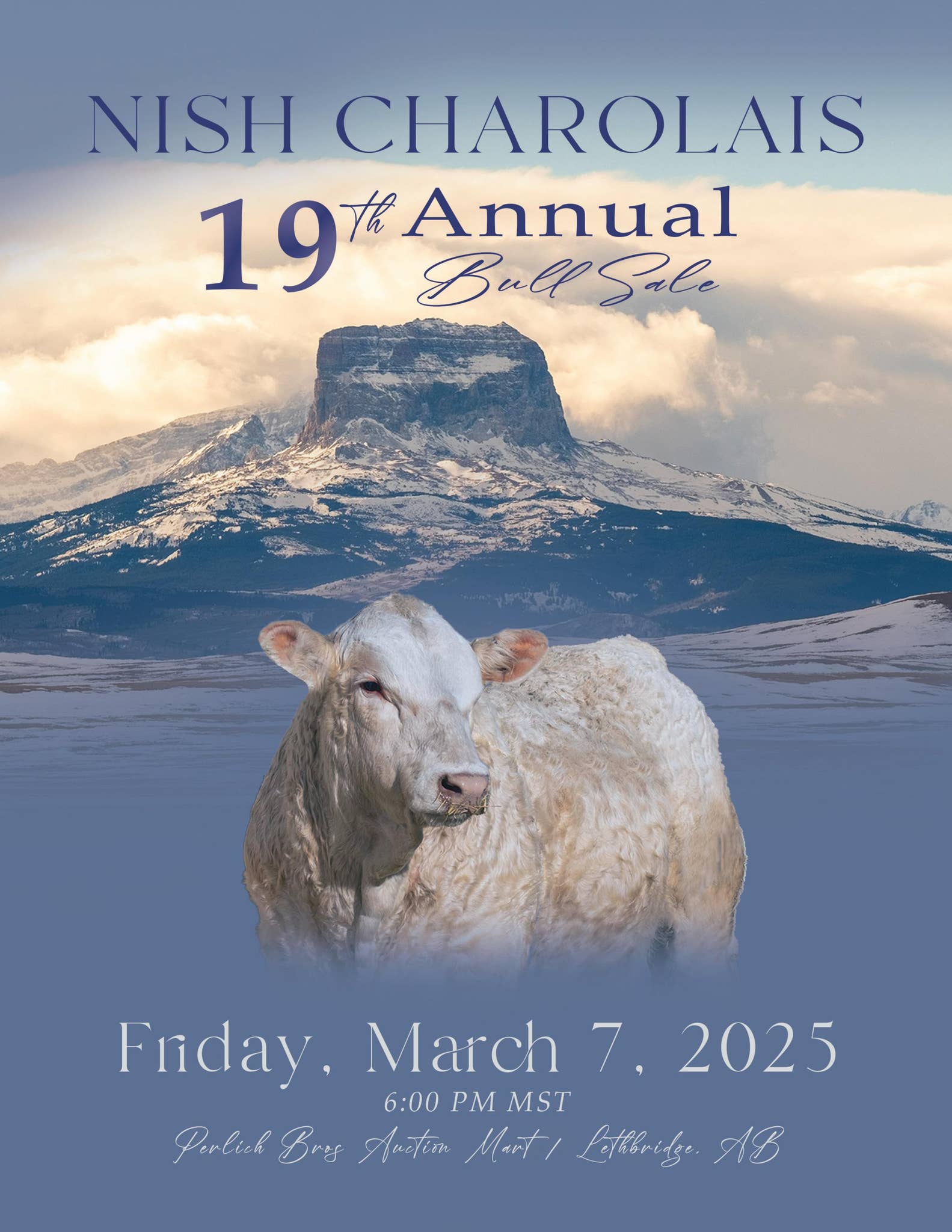 Nish 2025 Bull Sale by Jon Wright - Issuu