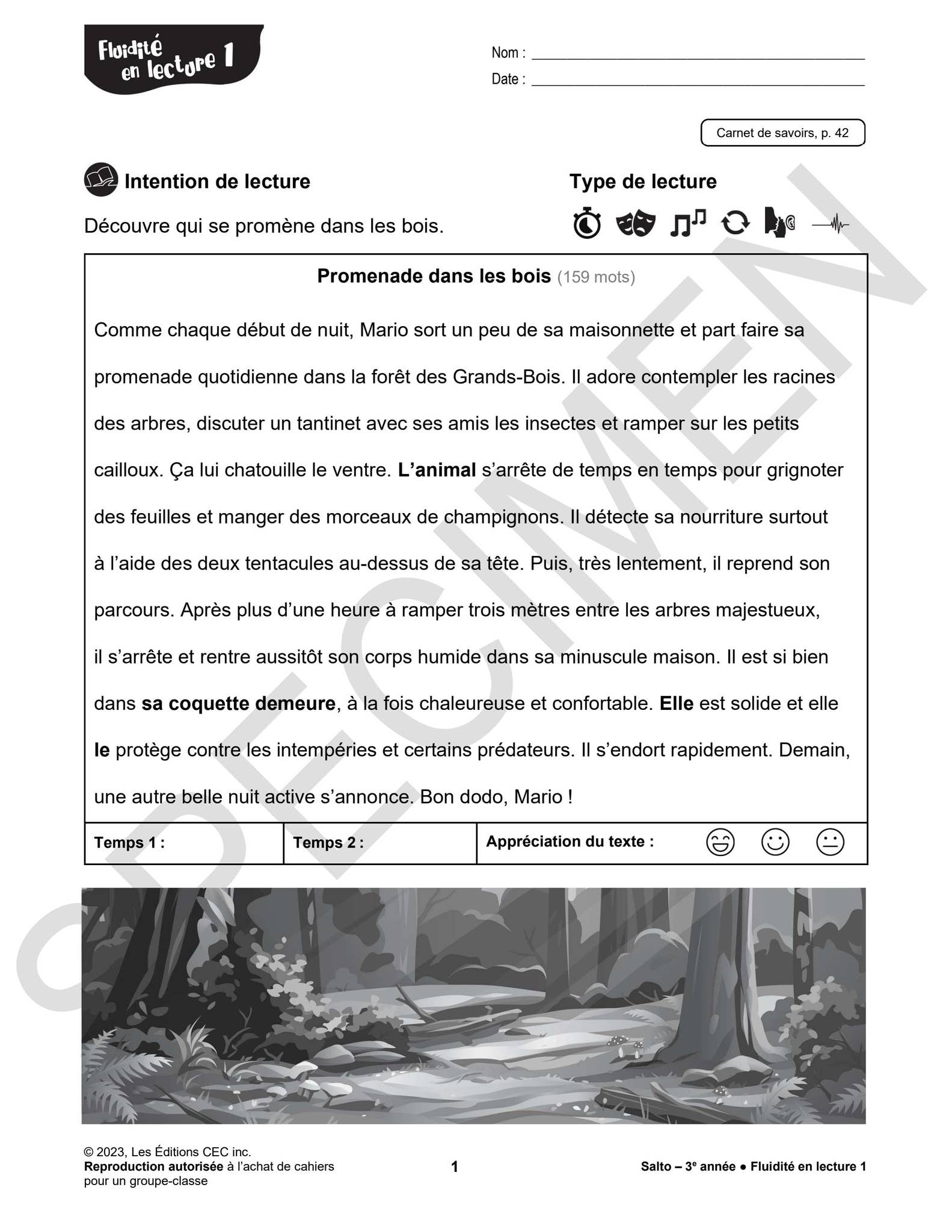 Salto - Fluidité en lecture - 3e année by Les Éditions CEC - Issuu