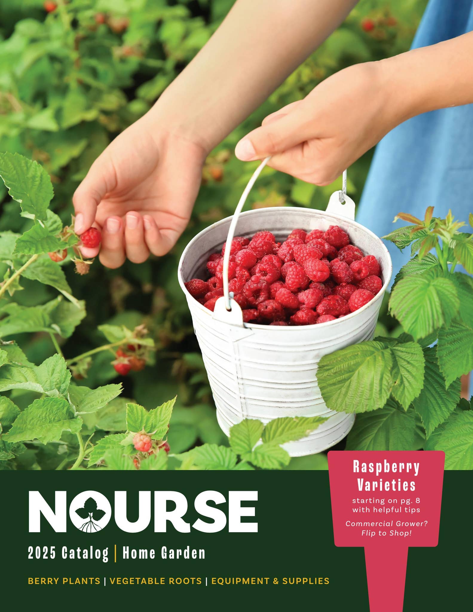 2025 Nourse Farms Catalog by Nourse Farms - Issuu