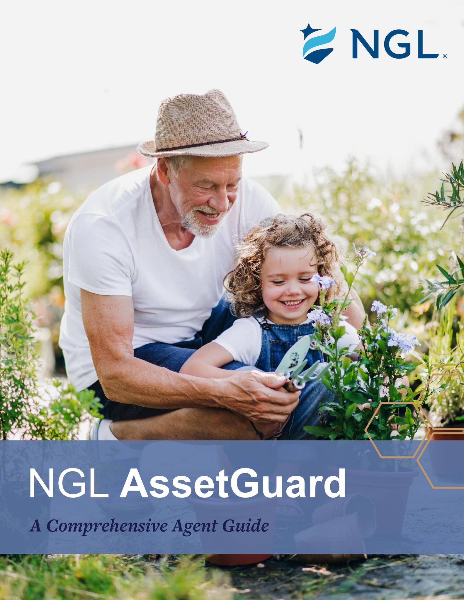The NGL AssetGuard Agent Guide by NGLIC - Issuu