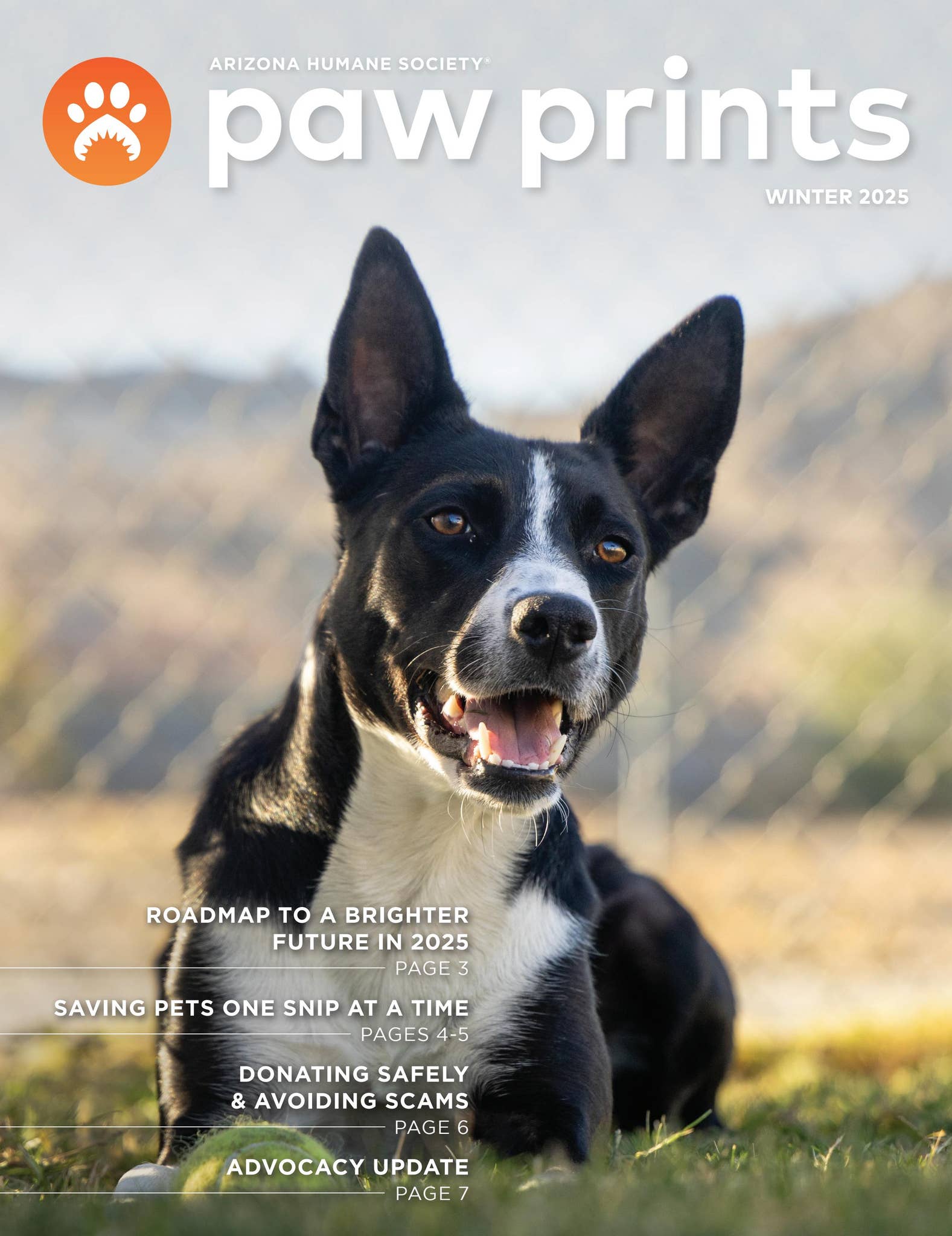 Paw Prints Winter 2025 by Arizona Humane Society - Issuu