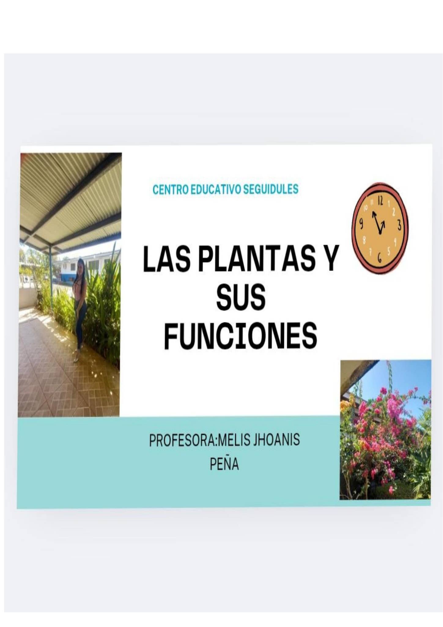 Las plantas la Jhoa 2025 by Lajhoa Peña Lopez - Issuu