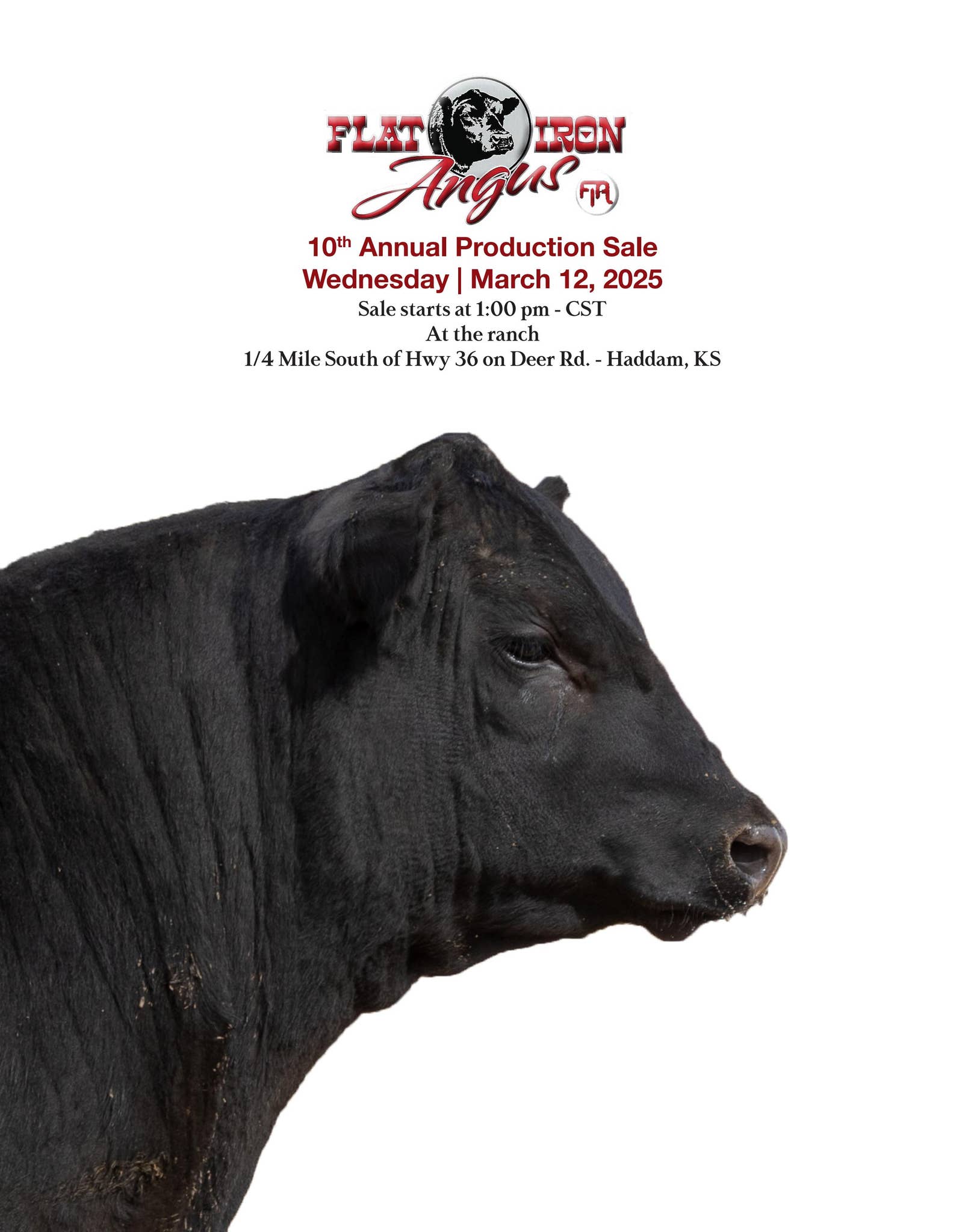 Flat Iron Angus 2025 by SCI - Stephanie Cronin, INC - Issuu
