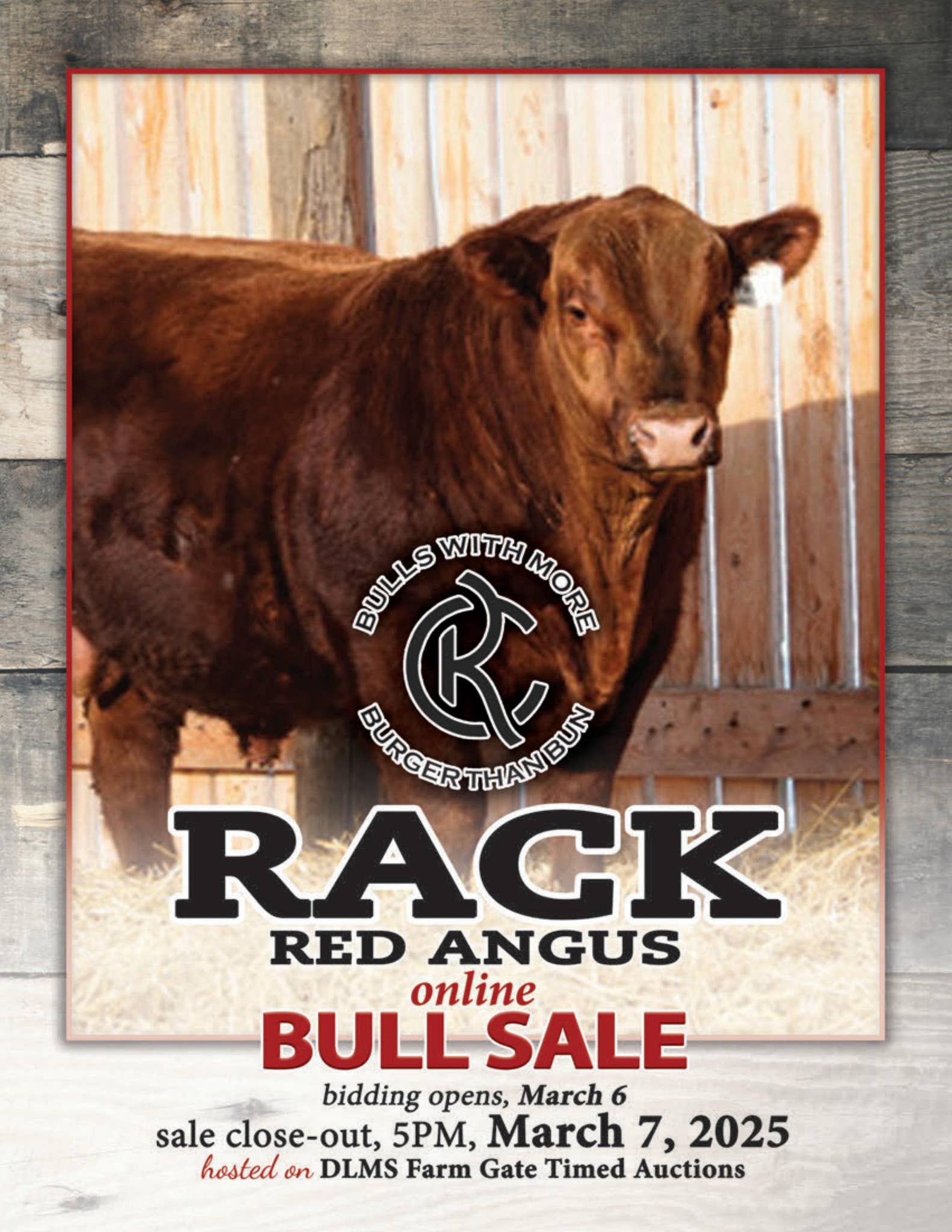 Rack Red Angus Online Bull Sale 2025 by 14westcreations - Issuu