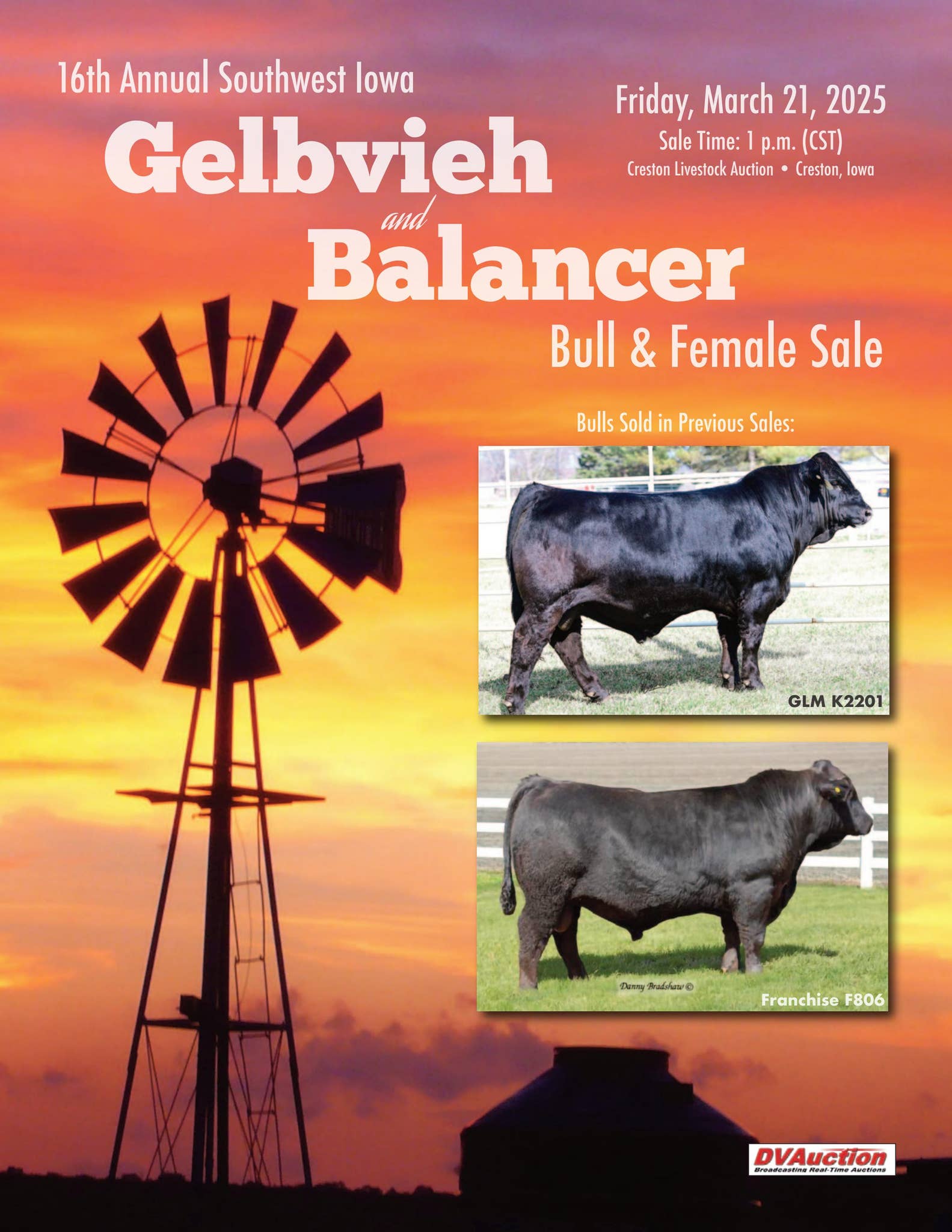 Southwest Iowa Gelbvieh & Balancer Bull & Female Sale by American ...