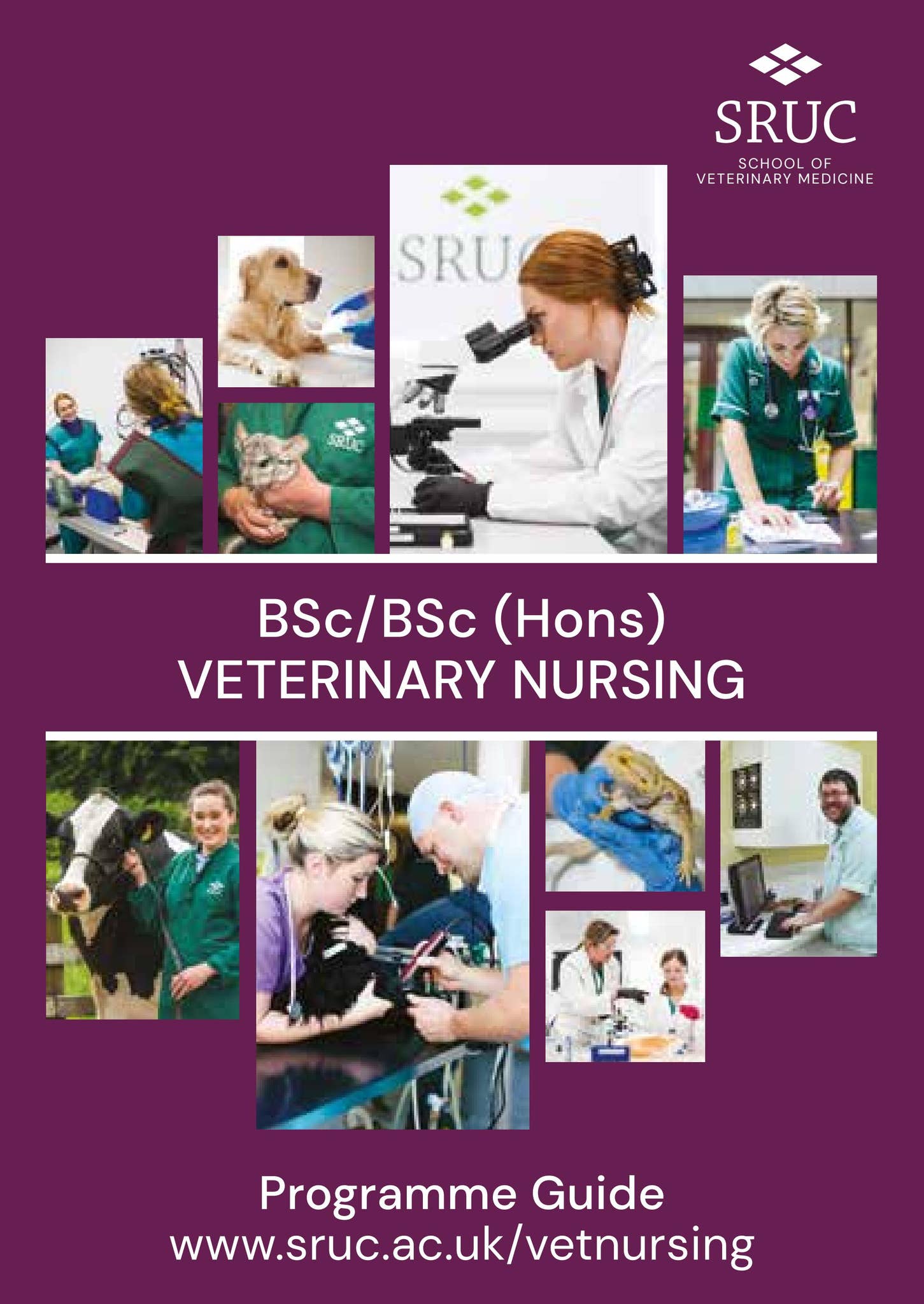 Veterinary Nursing BSc/BSc (Hons) by Scotland's Rural College (SRUC ...