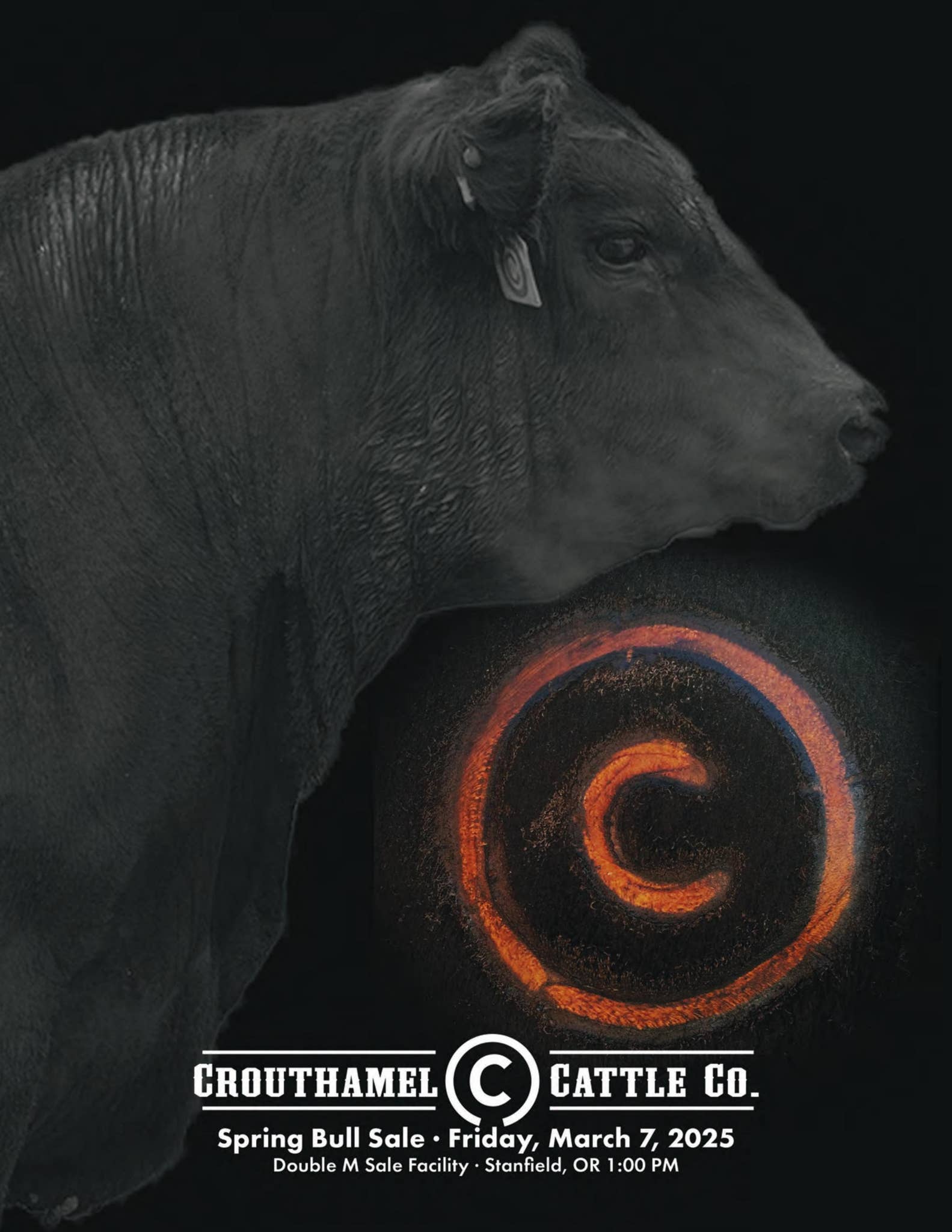 Crouthamel Cattle Co. Spring Bull Sale by LivestockDirect - Issuu