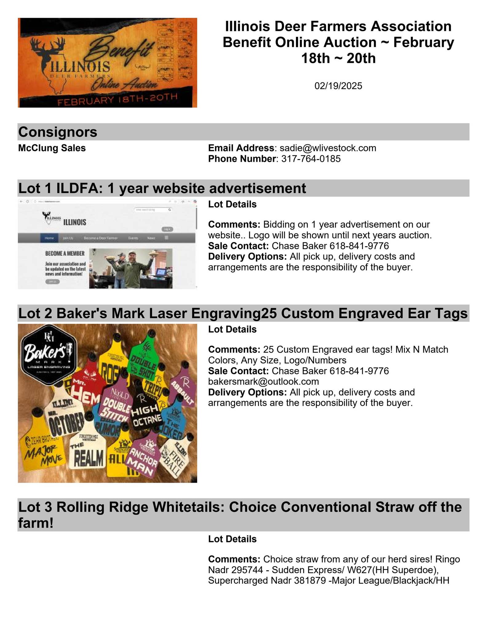 ILDFA Auction Catalog by DandKDesign - Issuu