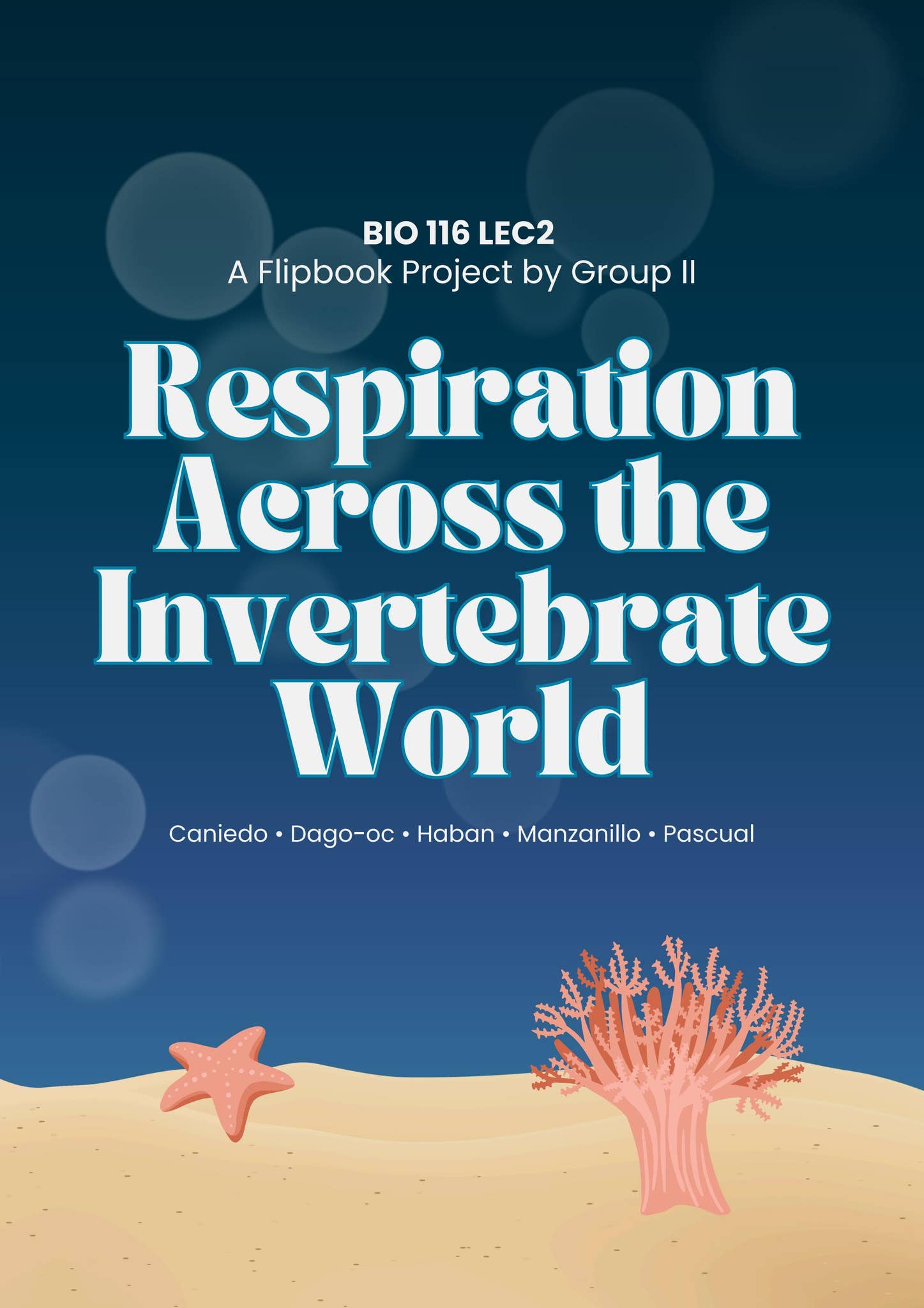 Respiration Across the Invertebrate World [Group 2 Bio 116 Lec 2] by ...