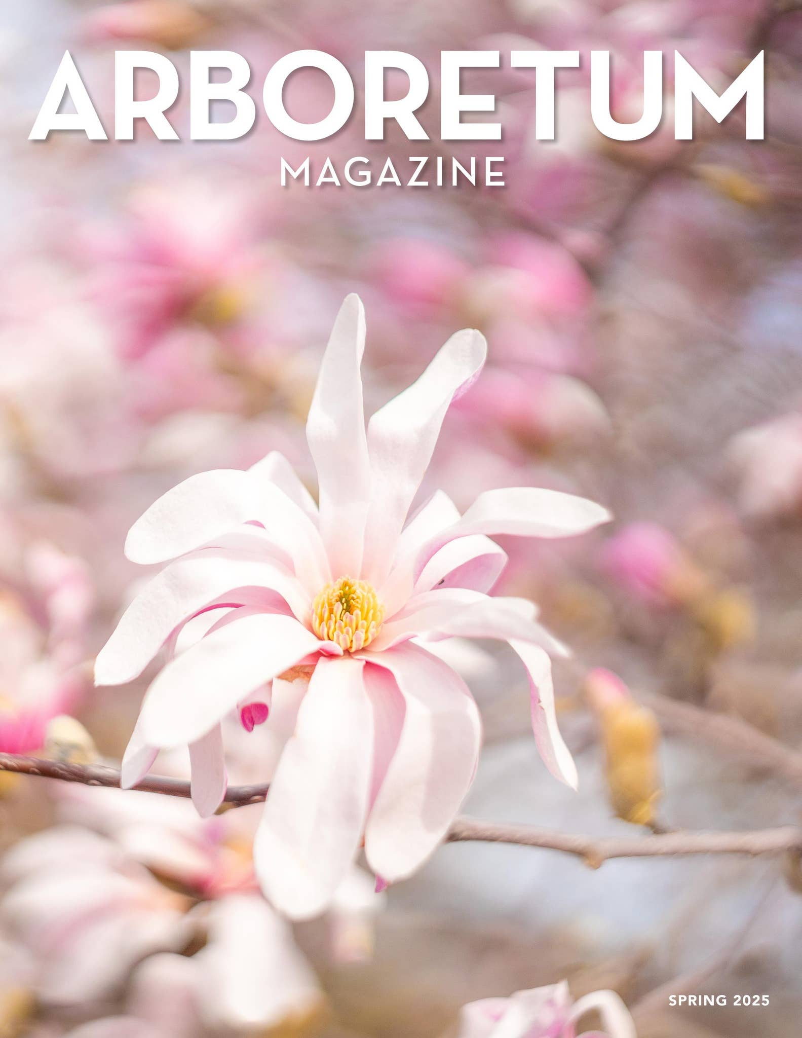 Arboretum Magazine Spring 2025 by University of Minnesota Landscape ...