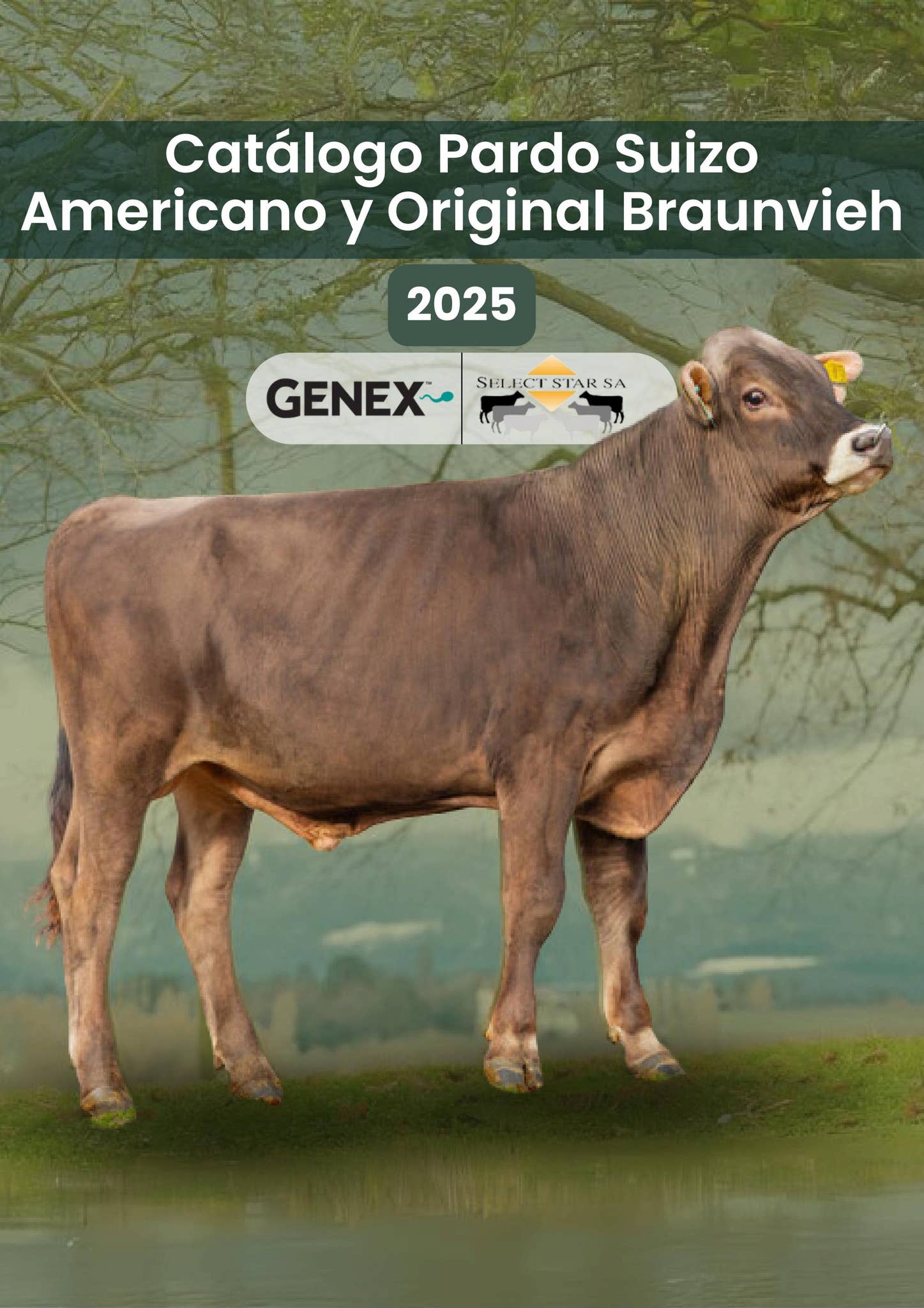 Catálogo Pardo Suizo Americano y Original Braunvieh 2025 by GENEX ...