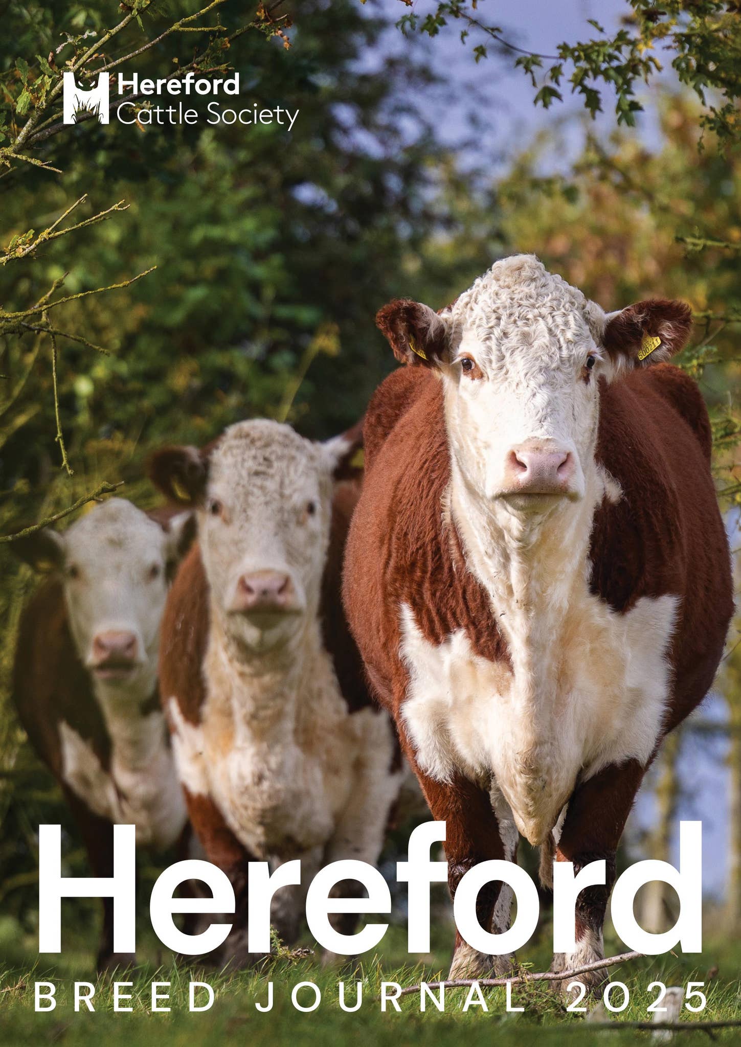 Hereford Breed Journal 2025 by UK Herefords - Issuu