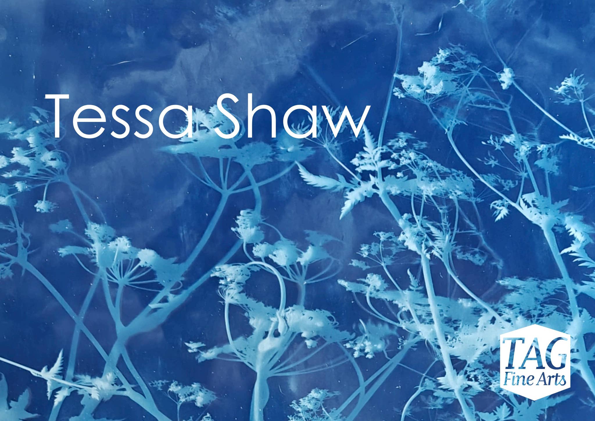Tessa Shaw | 2025 by TAG Fine Arts - Issuu