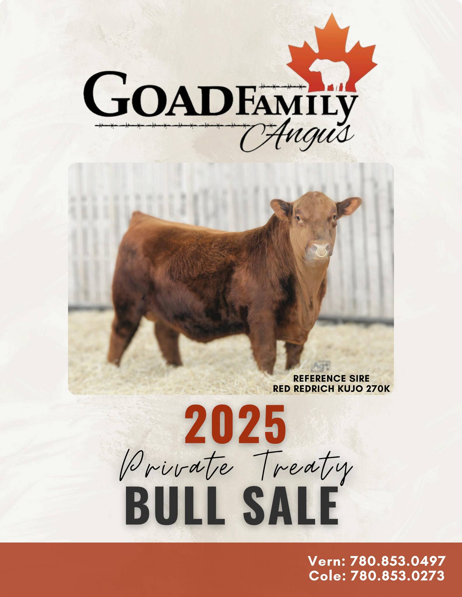 2025 Goad Family Angus Bull Catalogue by goadfamilyangus - Issuu