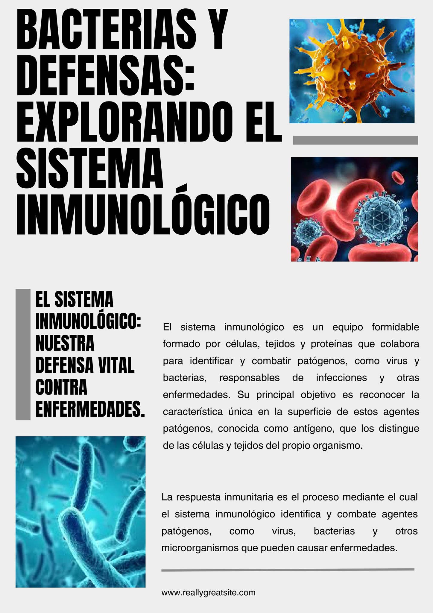 Explorando el sistema inmunológico by SOFIA ANAHI SOTO SARAGURO - Issuu