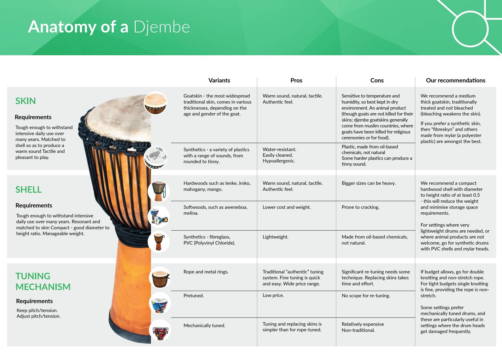 DfS Anatomy Djembe Version 2 by Drums for Schools - Issuu