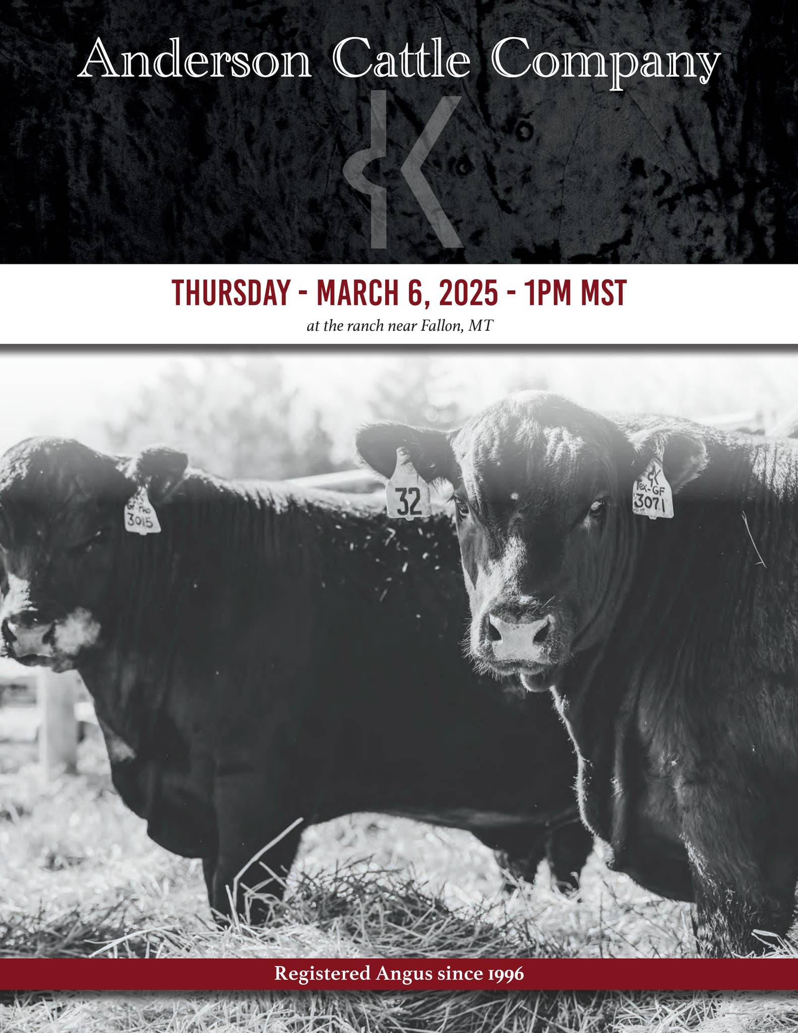 Anderson Cattle Company Annual Bull Sale by LivestockDirect - Issuu