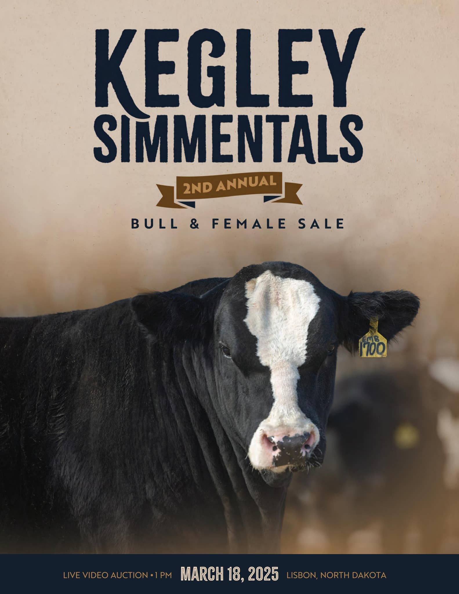 Kegley Simmentals 2nd Annual Bull and Female Sale by LivestockDirect ...