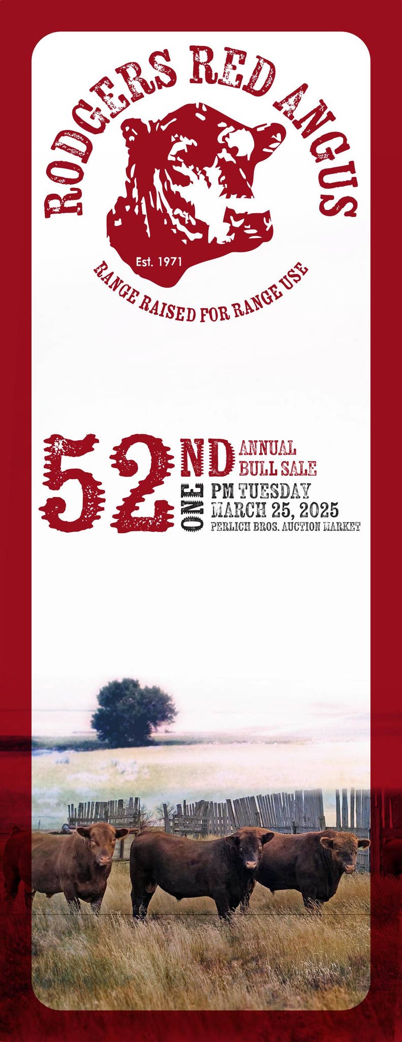 Rodger Red Angus Annual Bull Sale - Perlich - Lethbridge, AB by DLMS ...