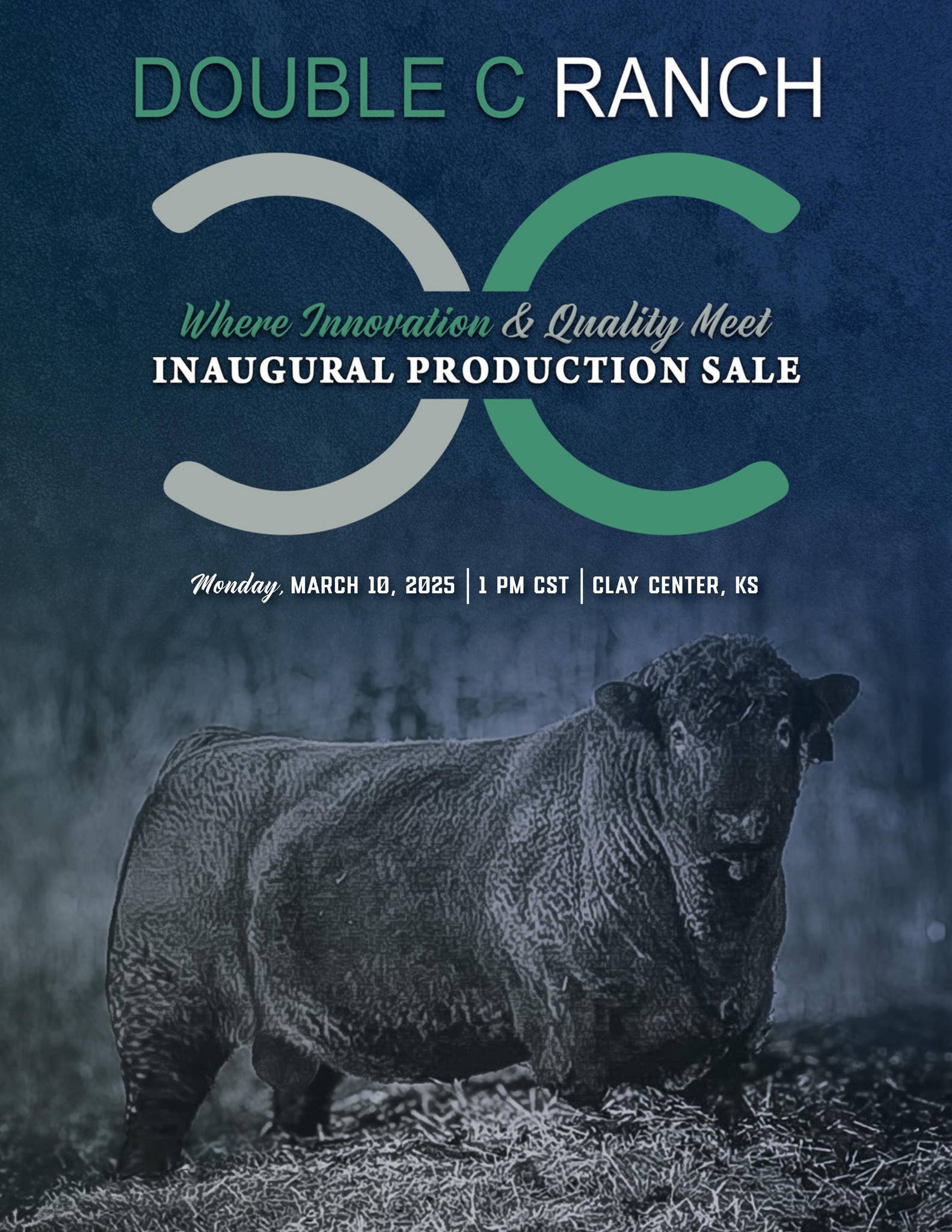 Double C Ranch 2025 Catalog_web by Rennert Marketing/Brandmark Imaging ...