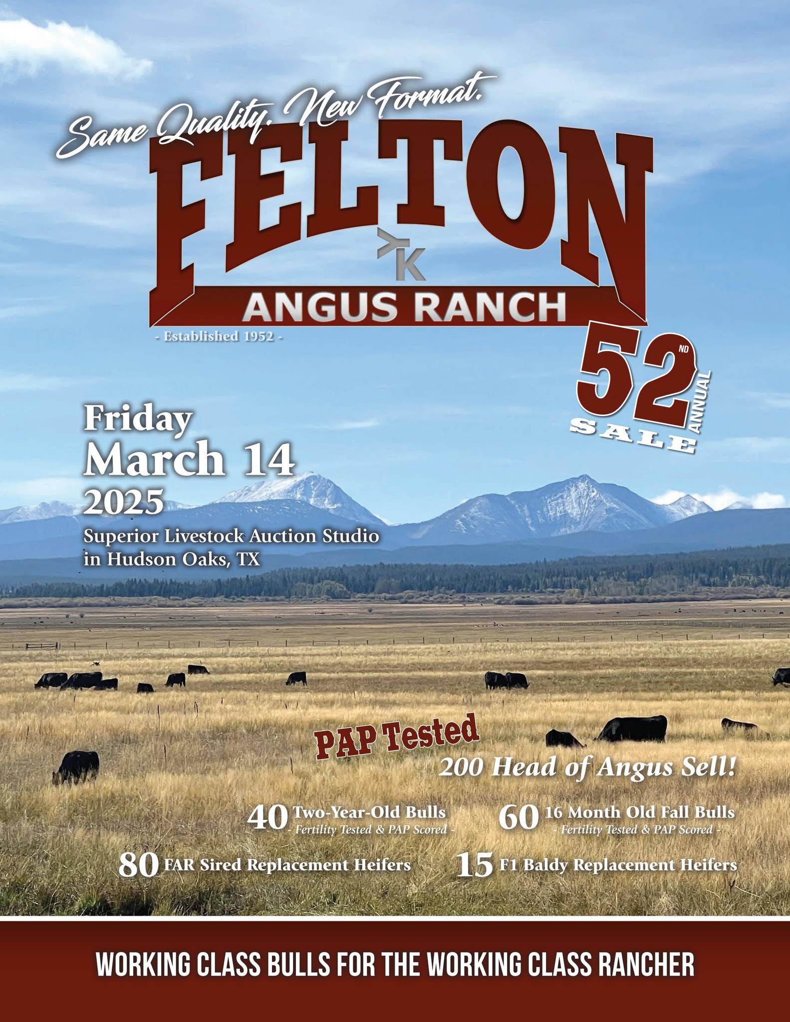 Felton Angus Ranch Sale Catalog 2025 by PeltonLivestock - Issuu