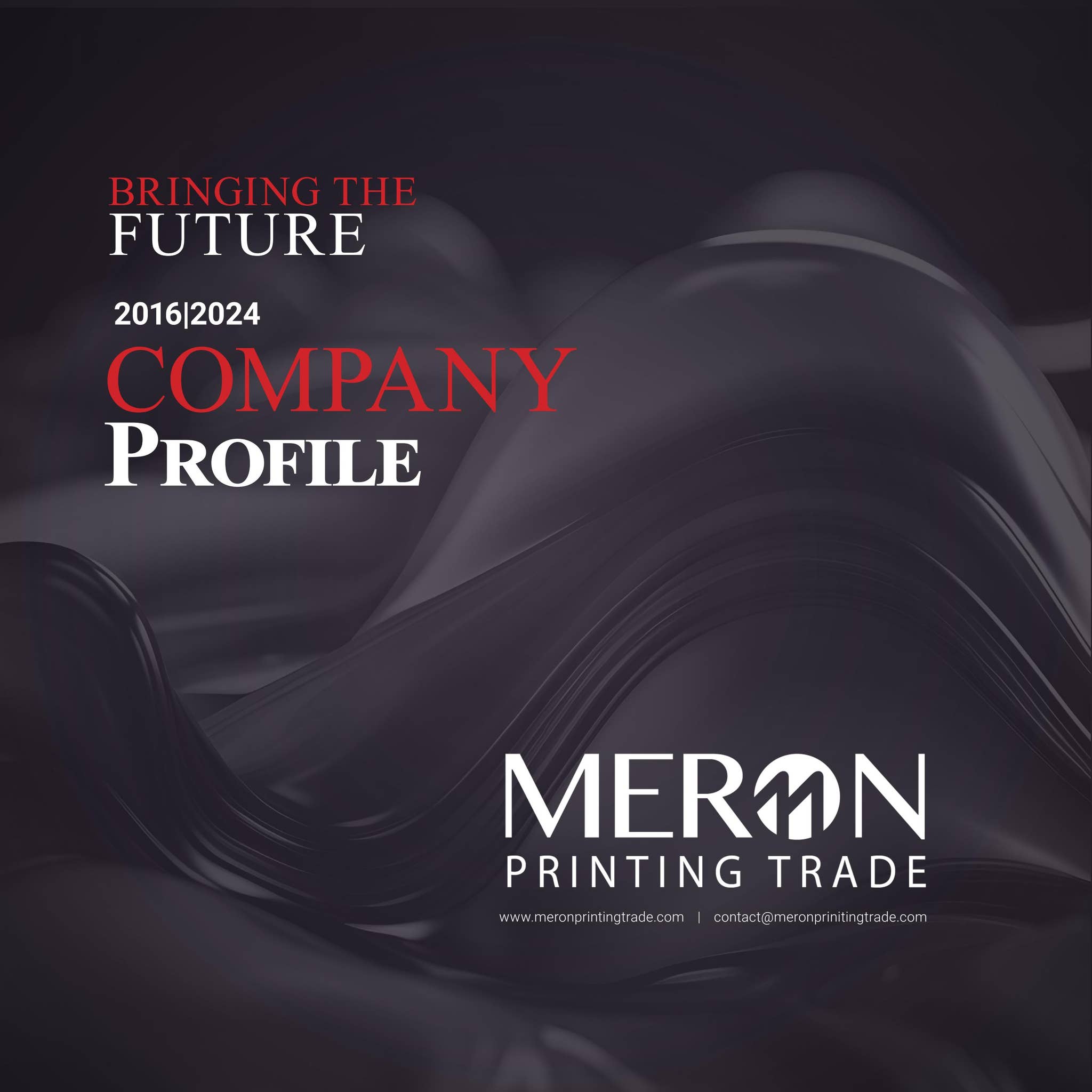 company profile by abrham melese - Issuu