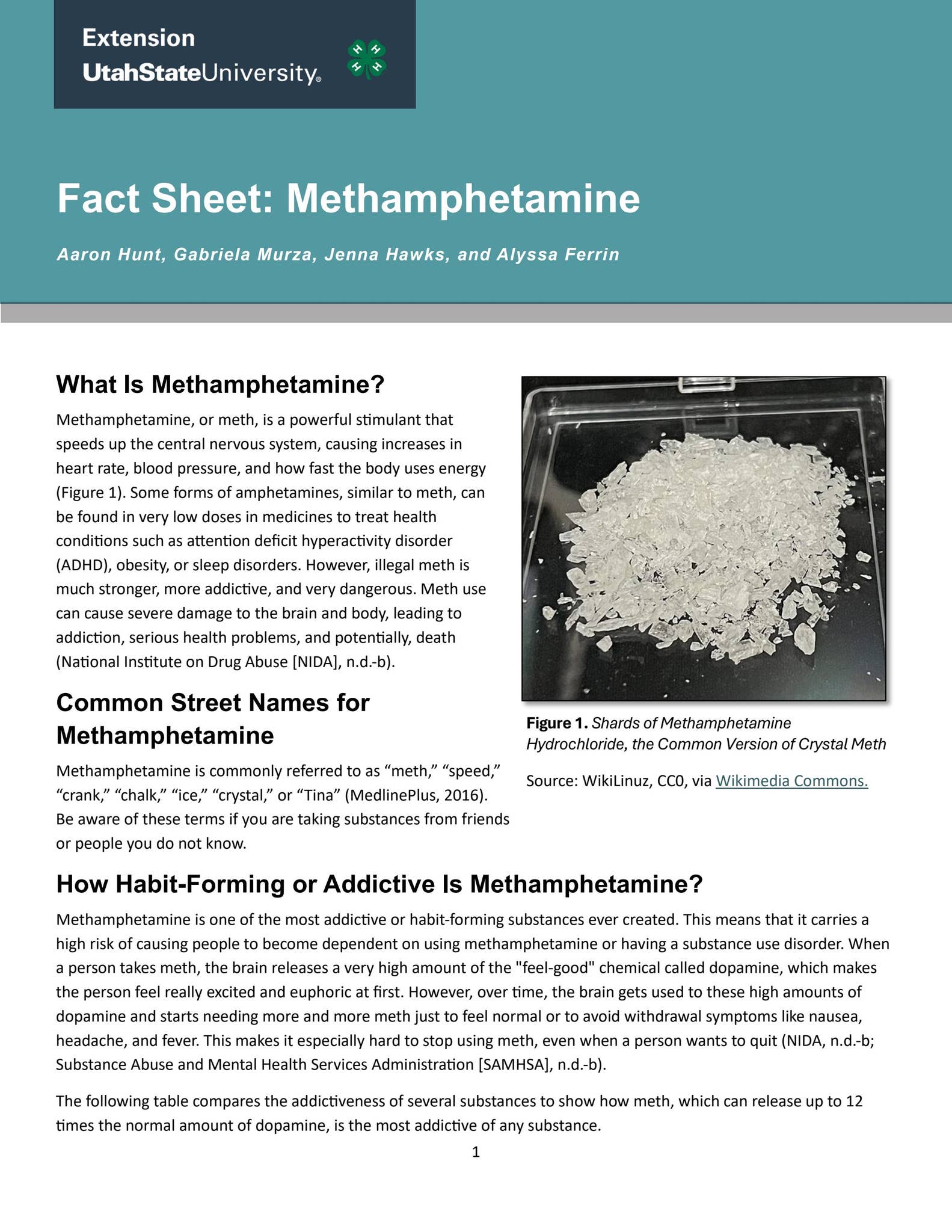 Fact Sheet_ Methamphetamine by Utah State University Extension - Issuu