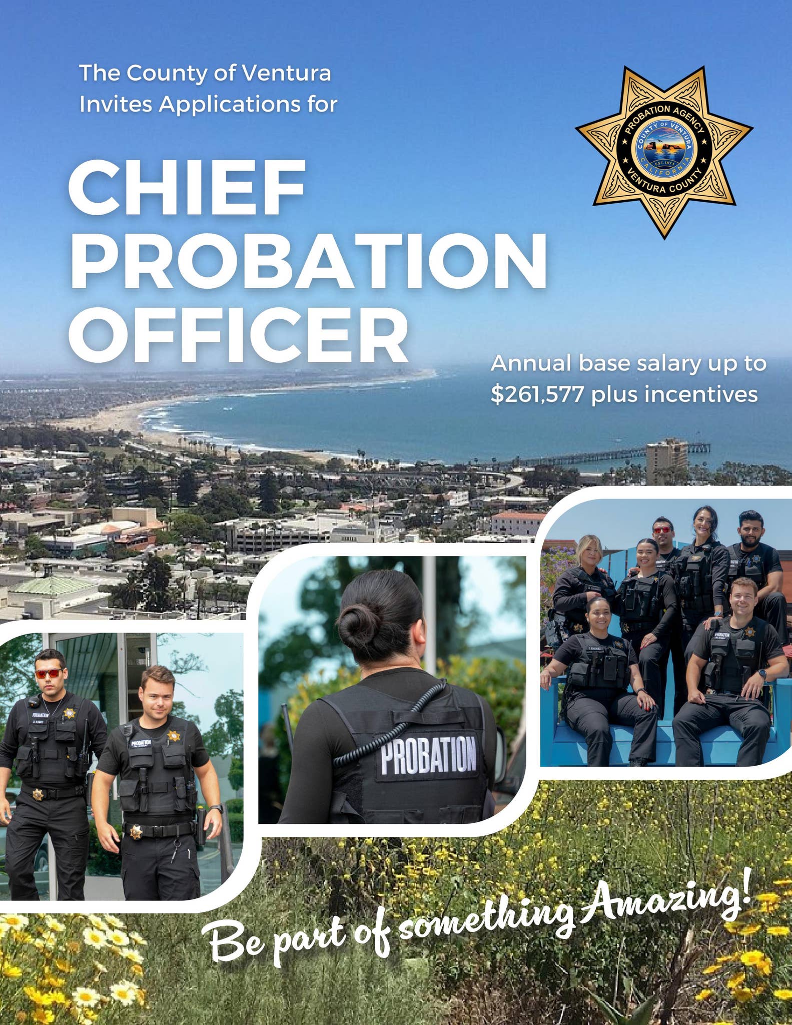 Chief Probation Officer Recruitment Brochure by cov805 - Issuu