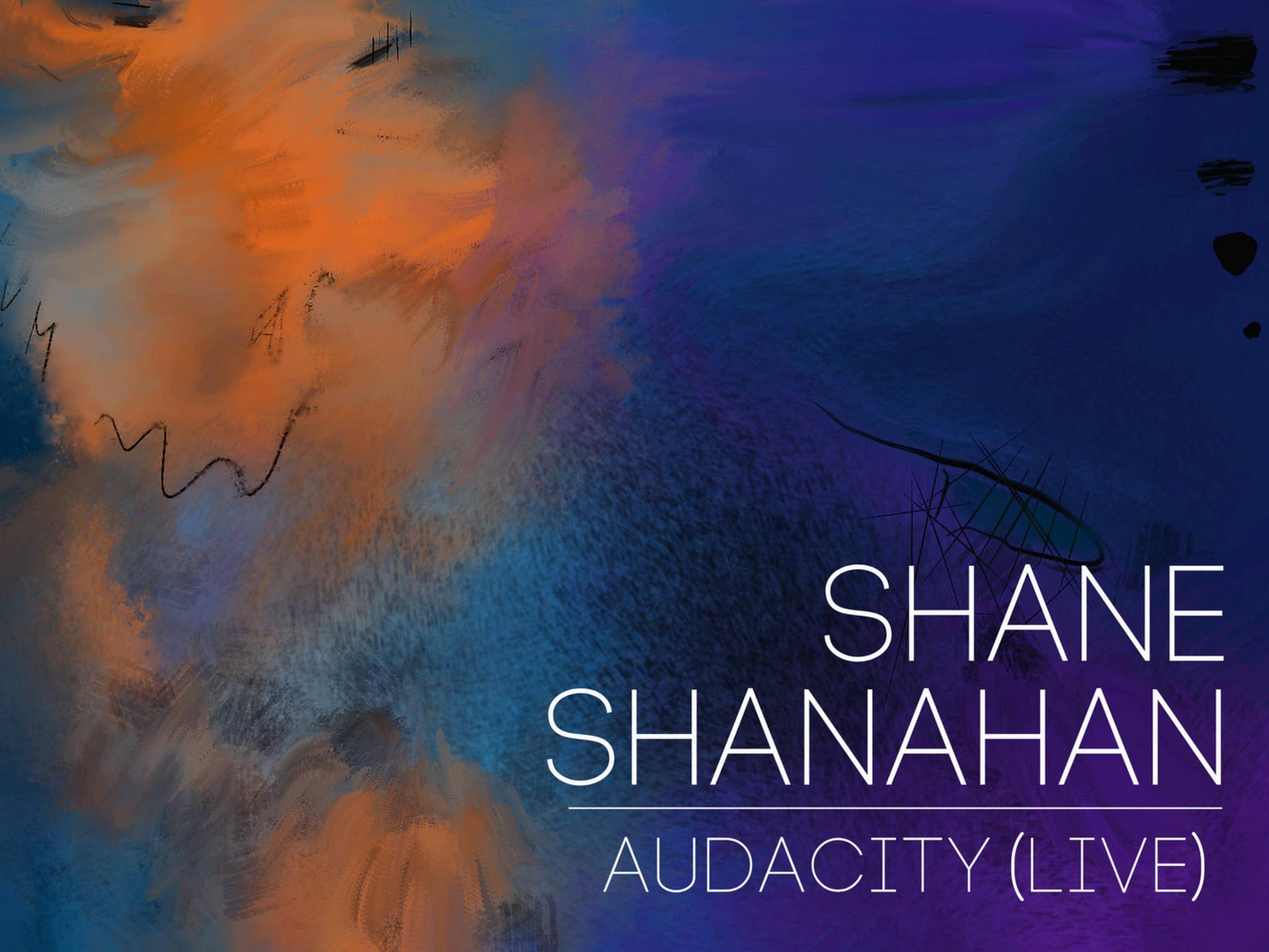 Audacity (Live) Digital Booklet by Louis Levitt - Issuu
