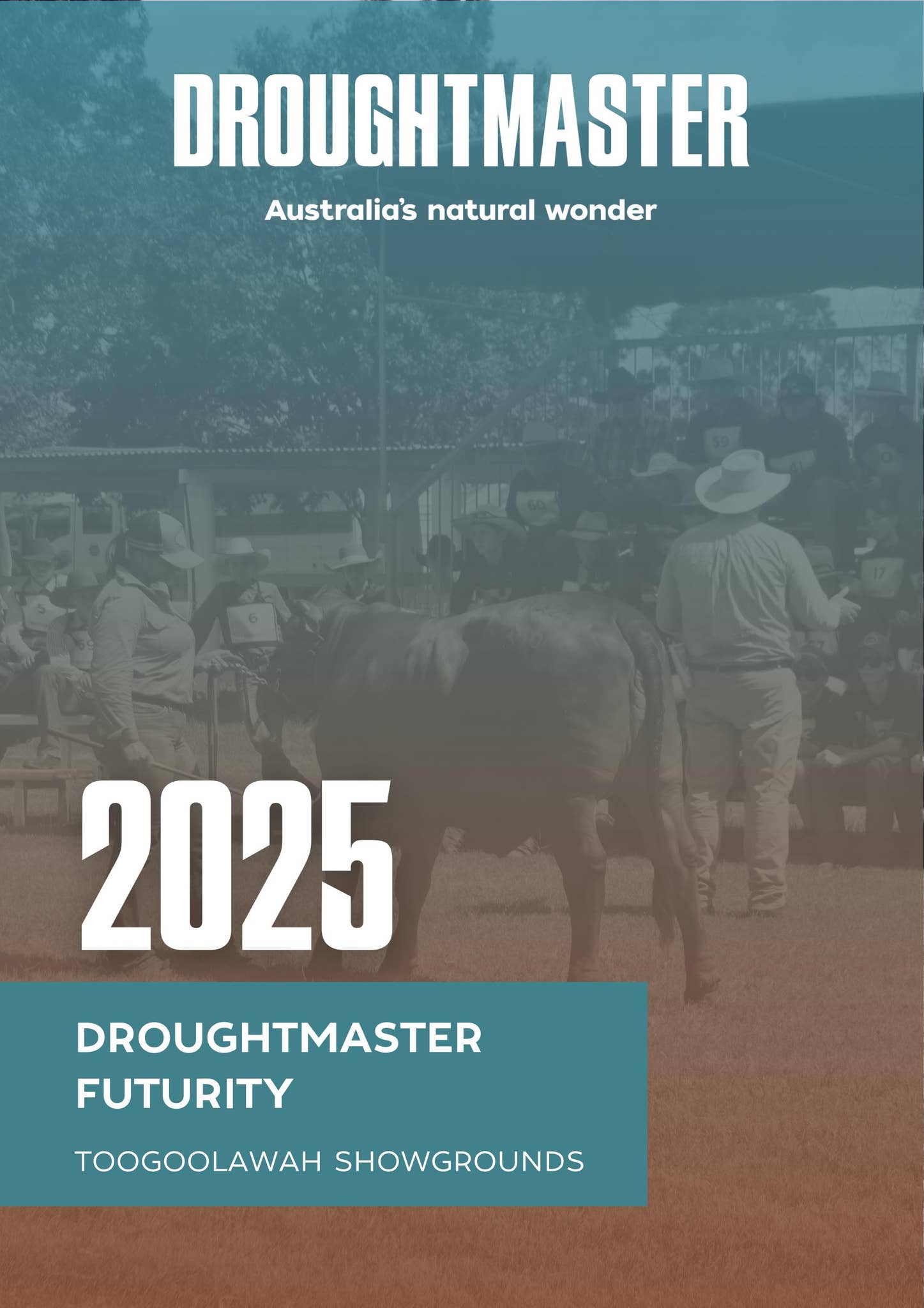 Droughtmaster Futurity 2025 by Droughtmaster Australia - Issuu