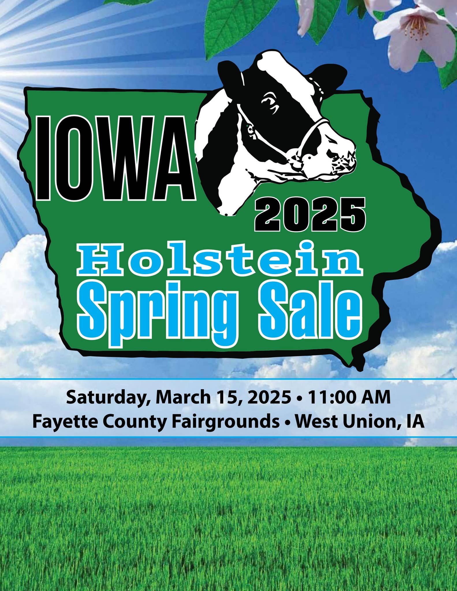 2025 Iowa Holstein Spring Sale by Daniel Brandt - Issuu