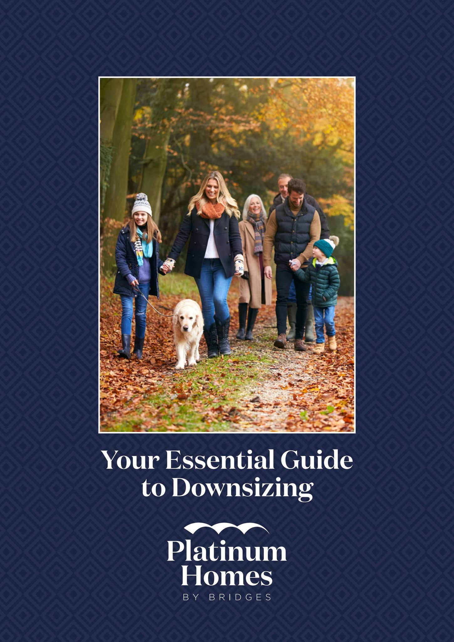 Platinum Homes Downsizing Guide by The Bridges Group - Issuu