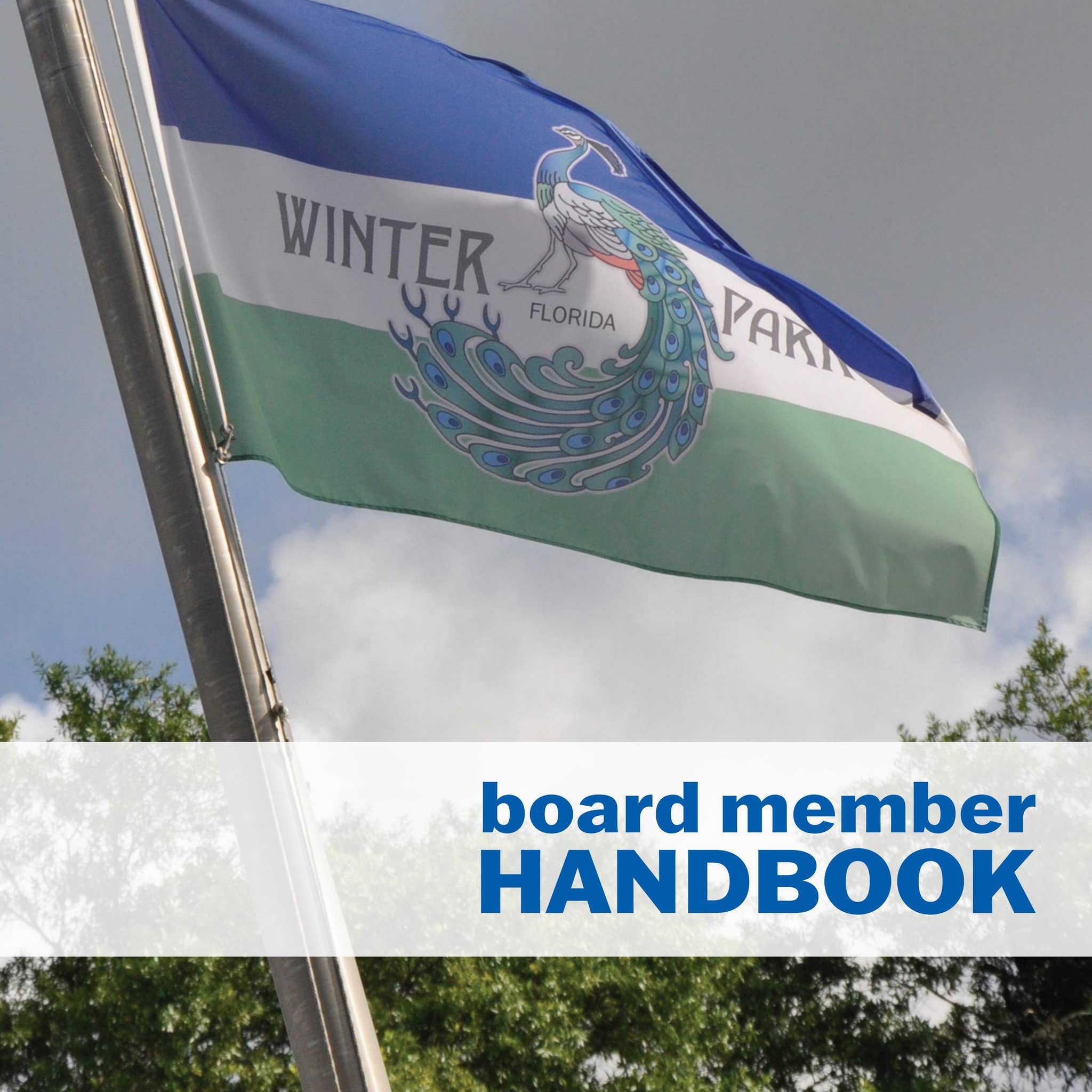 Board Member Handbook by City of Winter Park - Issuu