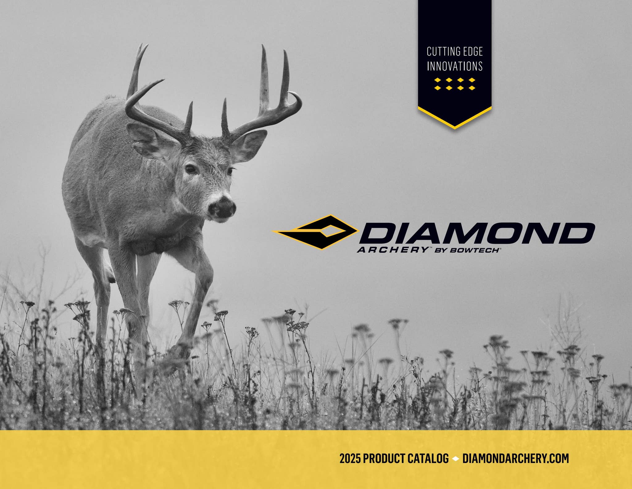 Diamond Archery 2025 Catalog by Bowtech Archery - Issuu