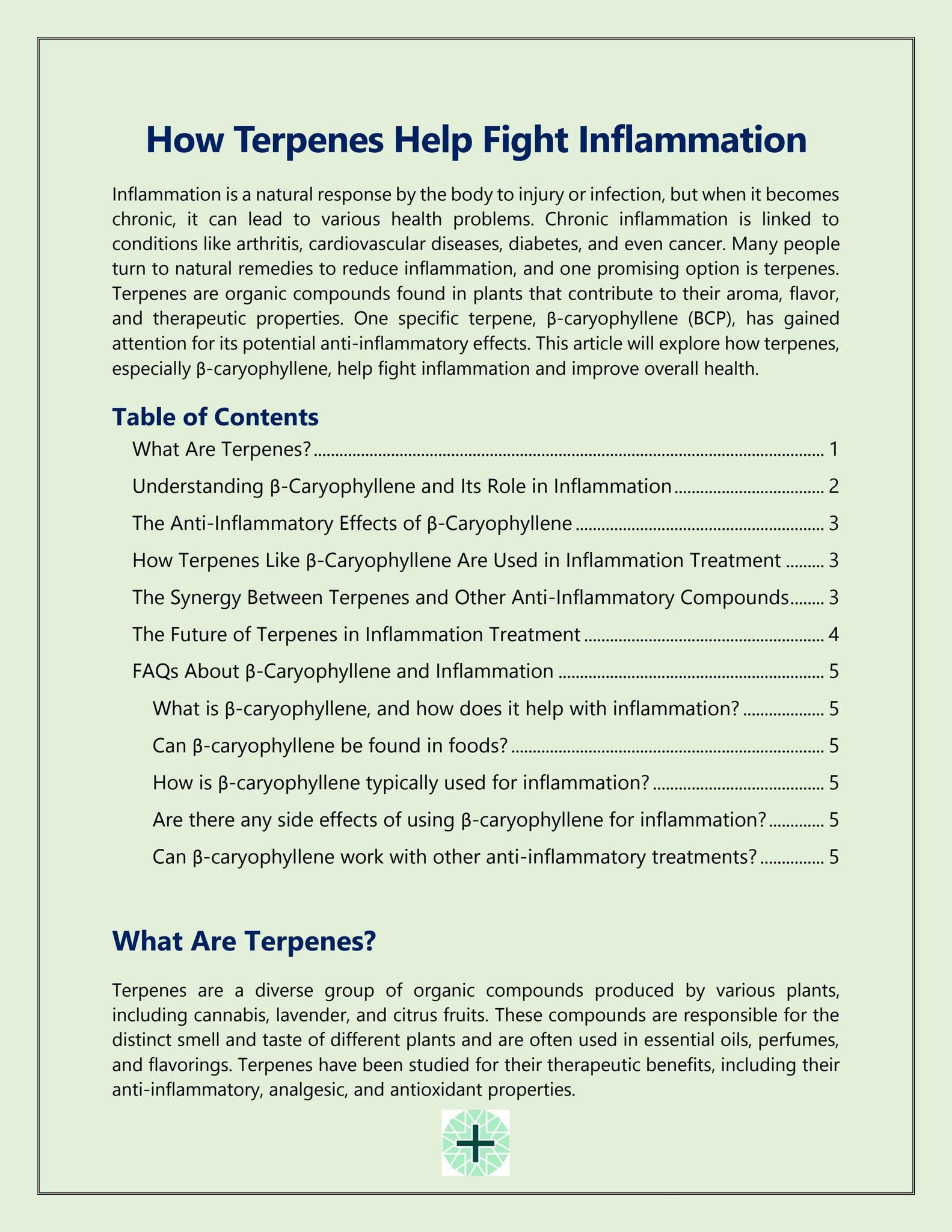 How Terpenes Help Fight Inflammation by Web Cures Digtal - Issuu