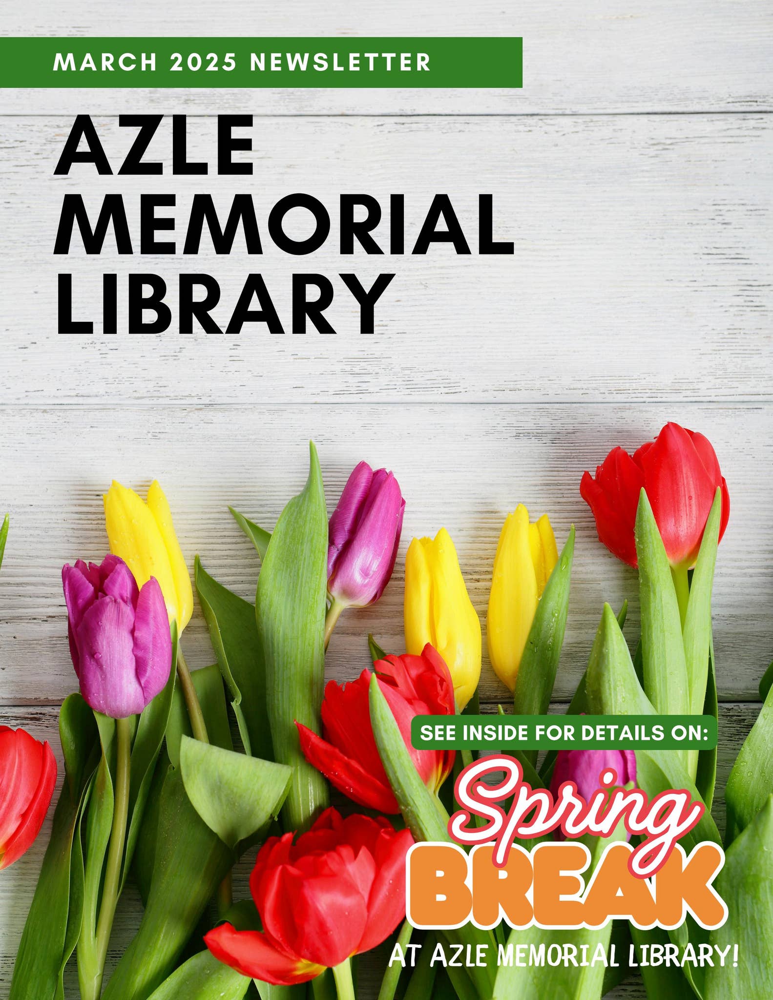 Azle Memorial Library March 2025 Newsletter by City of Azle - Issuu