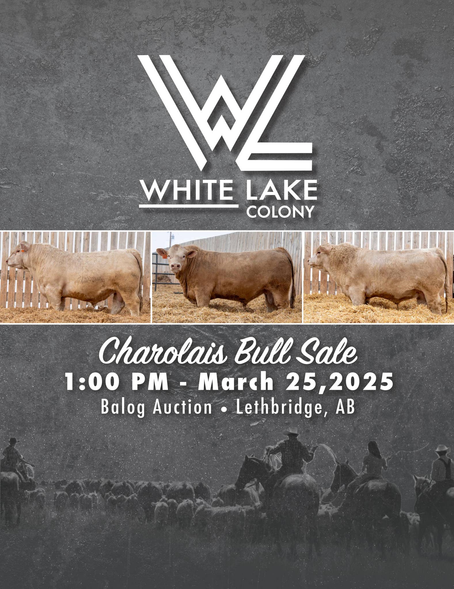 White Lake Colony - Bull Sale Catalog 2025 by McLeod Ag Marketing ...