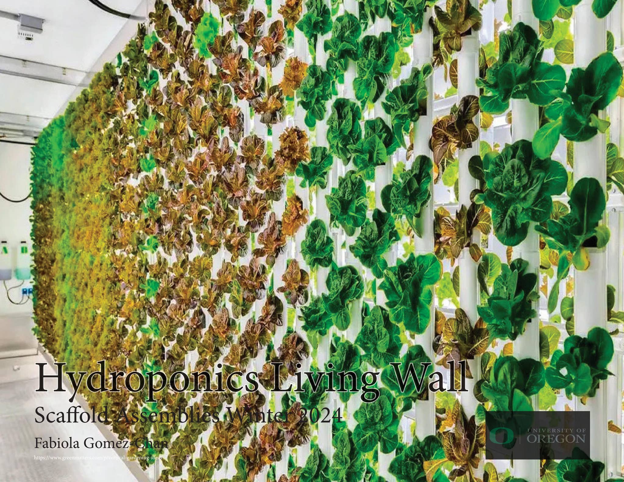 Hydroponics Living Wall by MAPS_Publications - Issuu